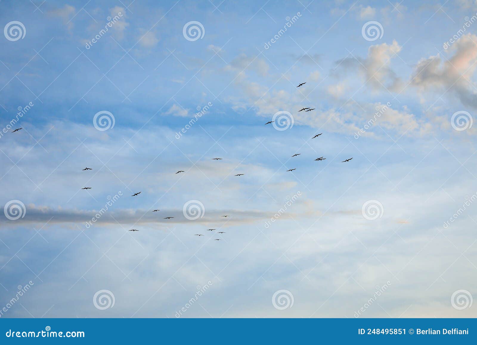 Wonderful Sky and Cloud with Flying Birds Stock Image - Image of bird ...