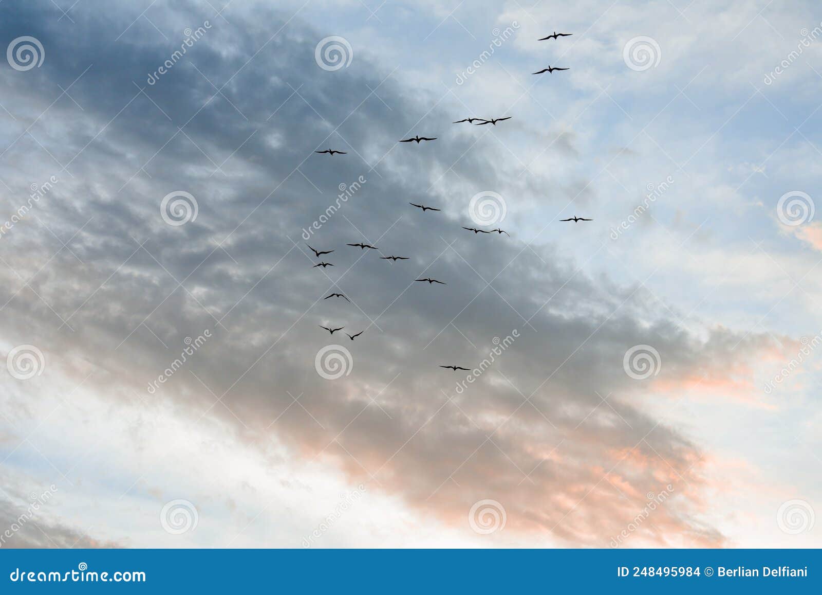 Wonderful Sky and Cloud with Flying Birds Stock Photo - Image of ...