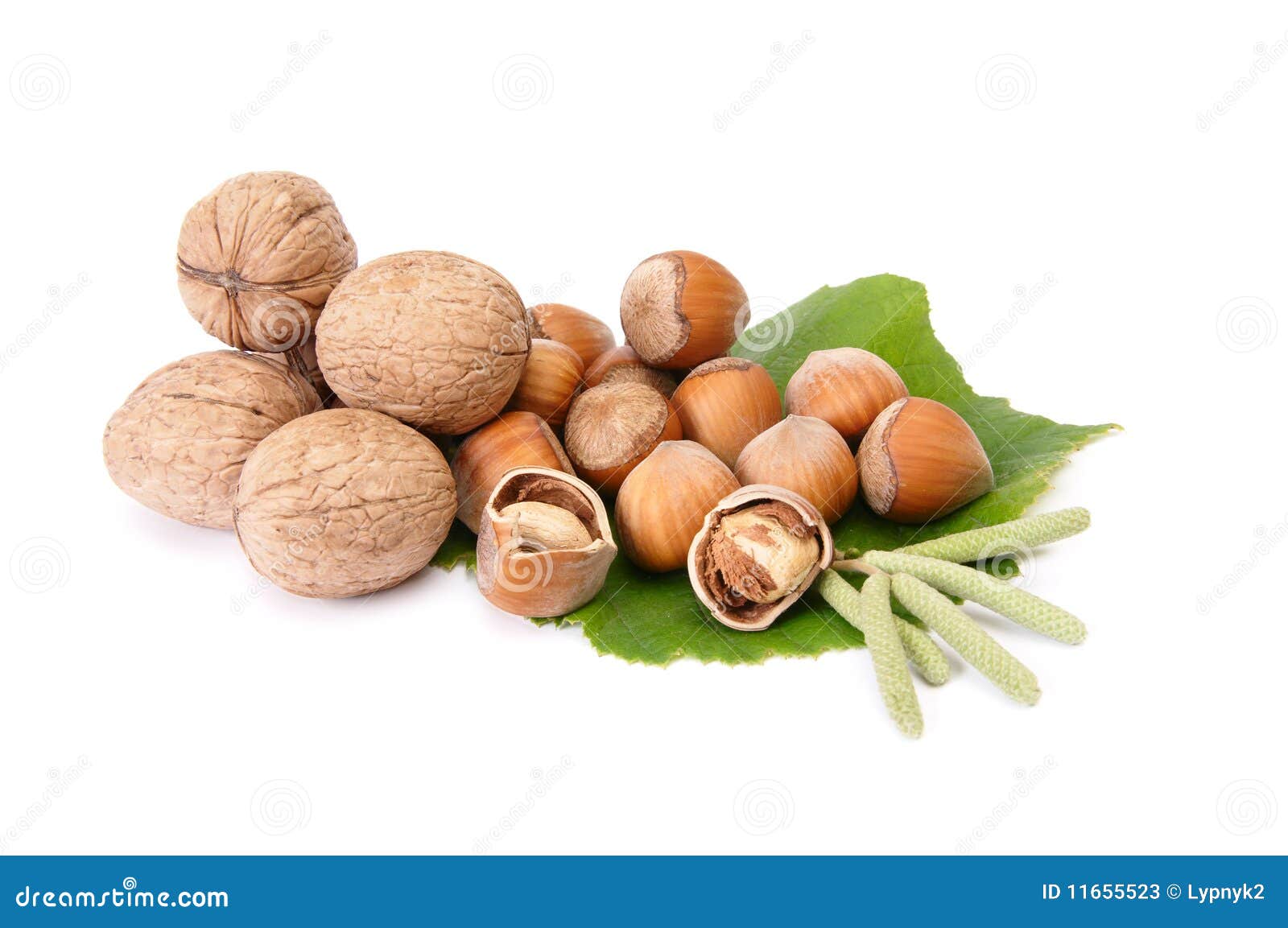 Wonderful View of Hazelnuts and Walnuts. Stock Image - Image of harvest ...