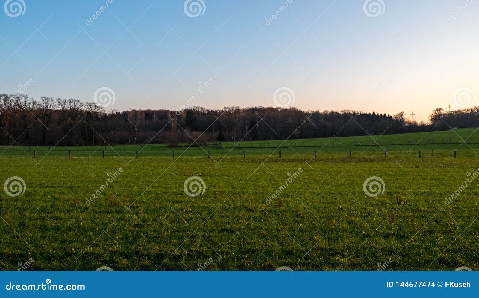 Wonderful View Over Field and Forest at Dusk Stock Photo - Image of ...
