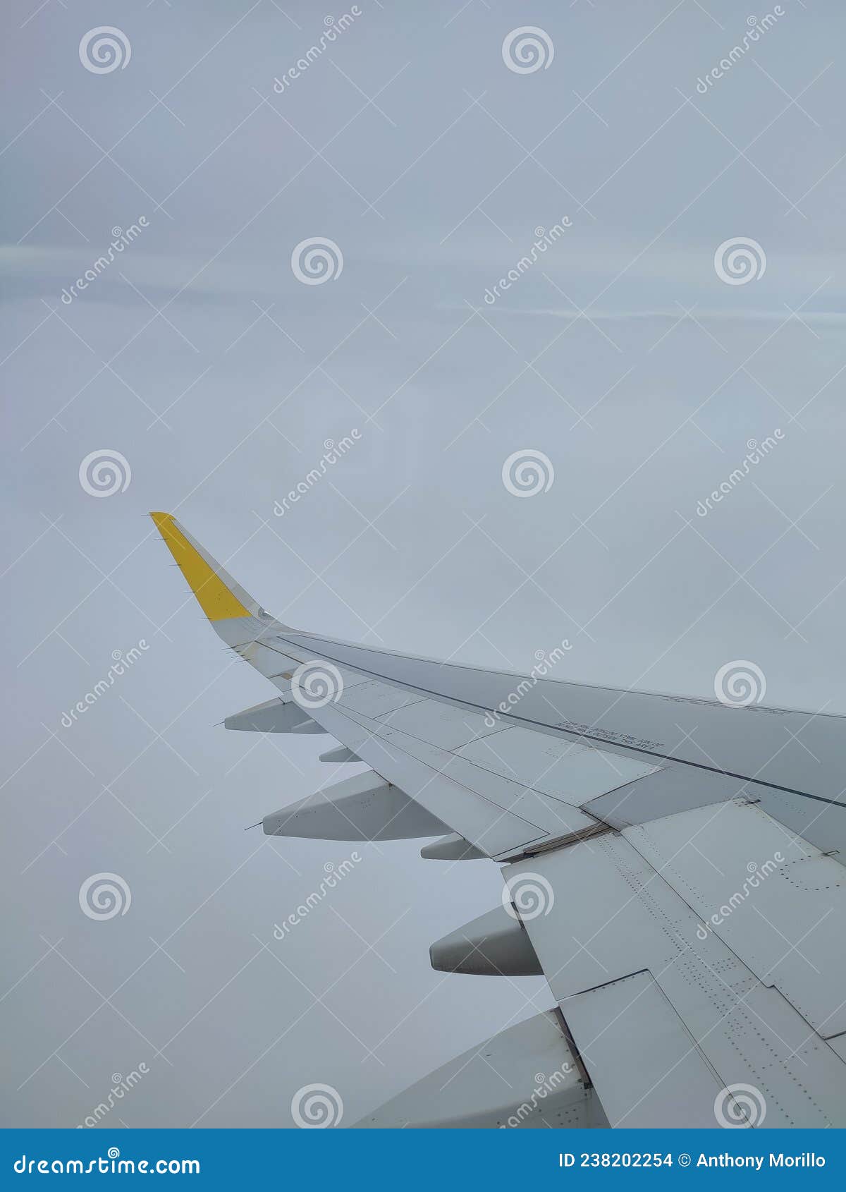 Wonderful View from a Plane Above Clouds Stock Photo - Image of airline ...