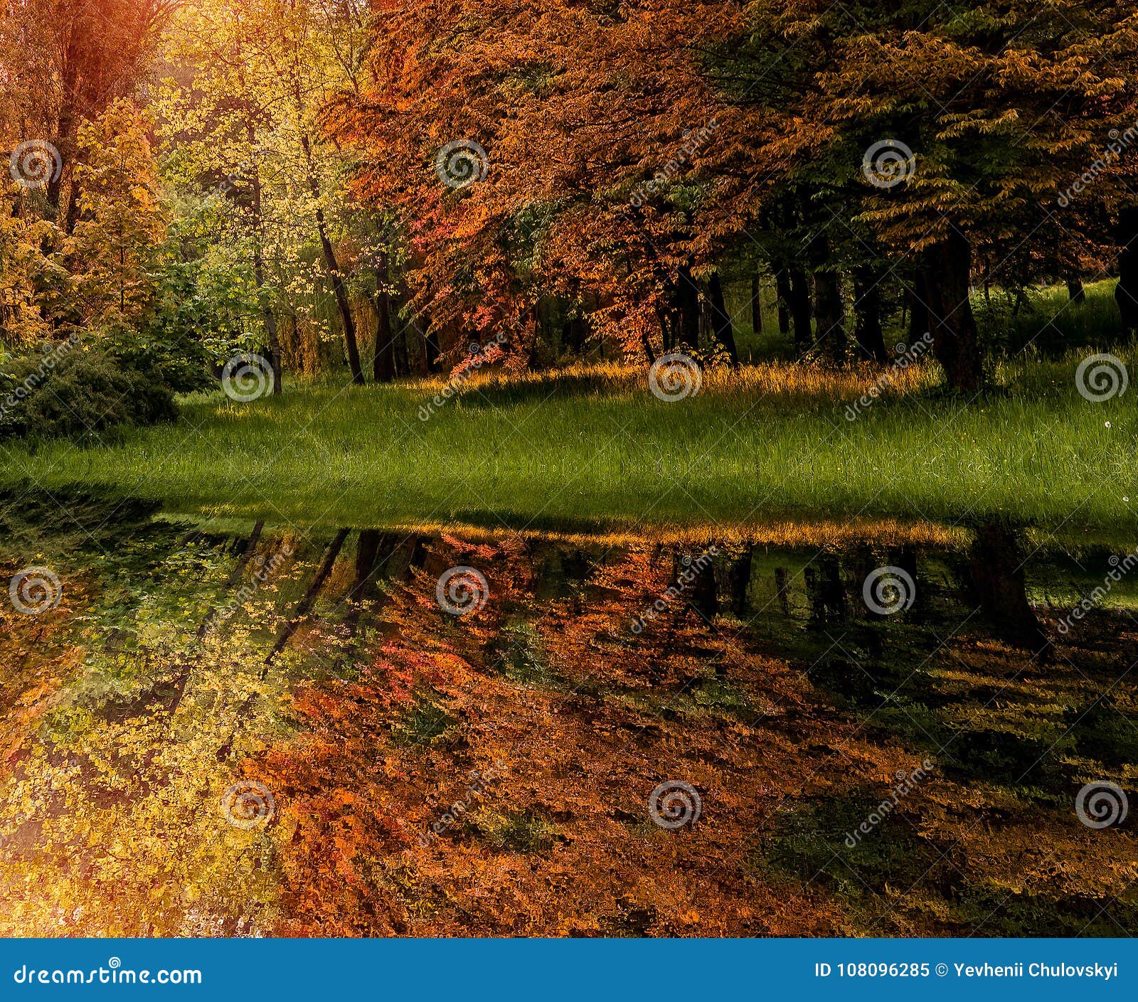 Wonderful View. Reflection of Tree and Grass in a Lake in the Forest ...