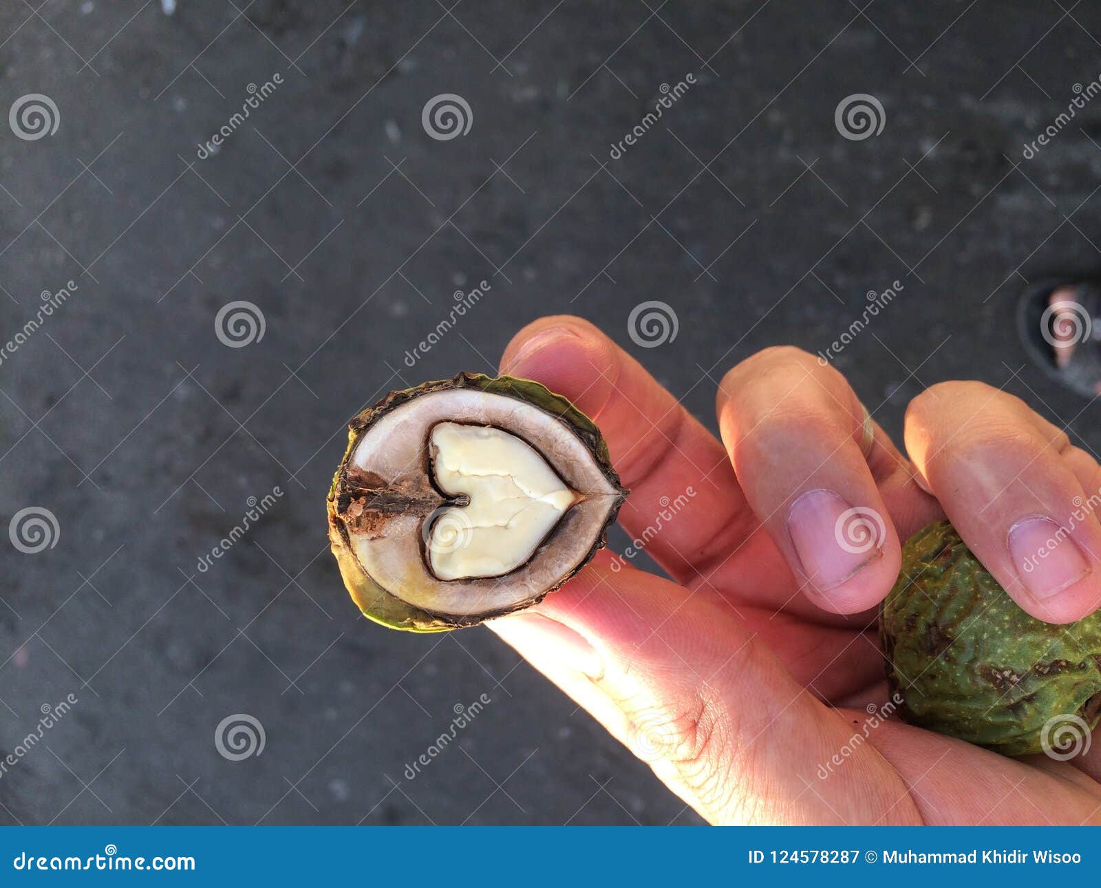 Nut heart stock image. Image of nuts, wonderful, shady - 124578287