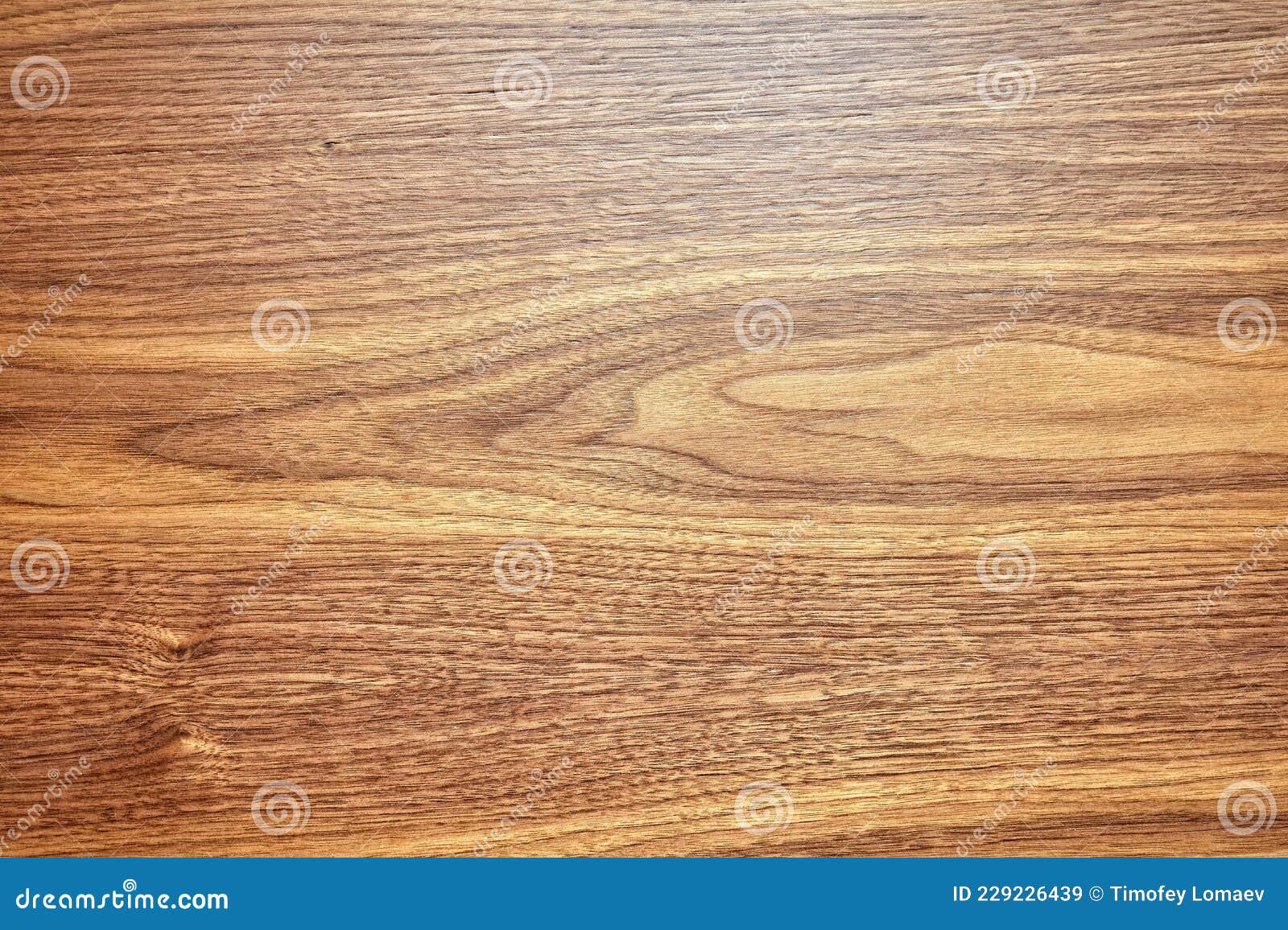 Walnut Wood Veneer Texture with Abstract Patterns Stock Image - Image ...