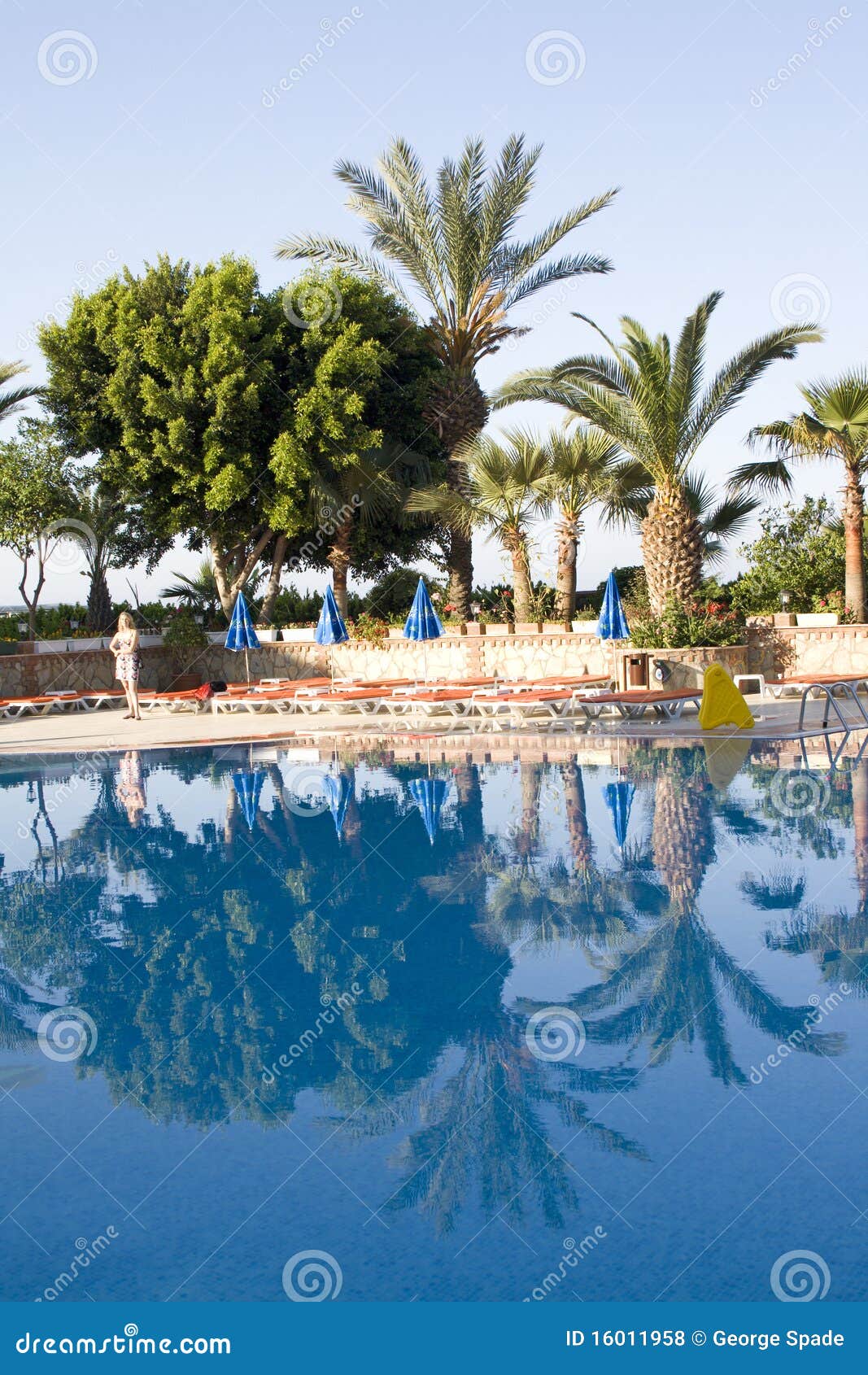 Wonderful water pool stock photo. Image of exotic, nature - 16011958