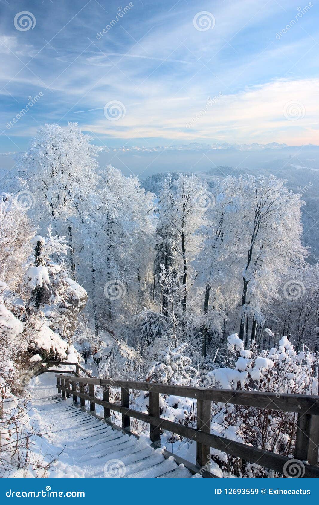 Wonderful winter day stock image. Image of landscape - 12693559