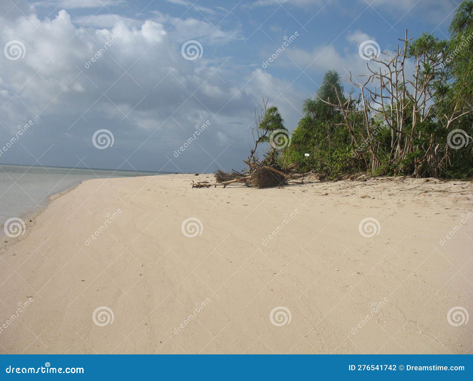 Wonderland Island of Wakatobi Stock Photo - Image of sand, wave: 276541742