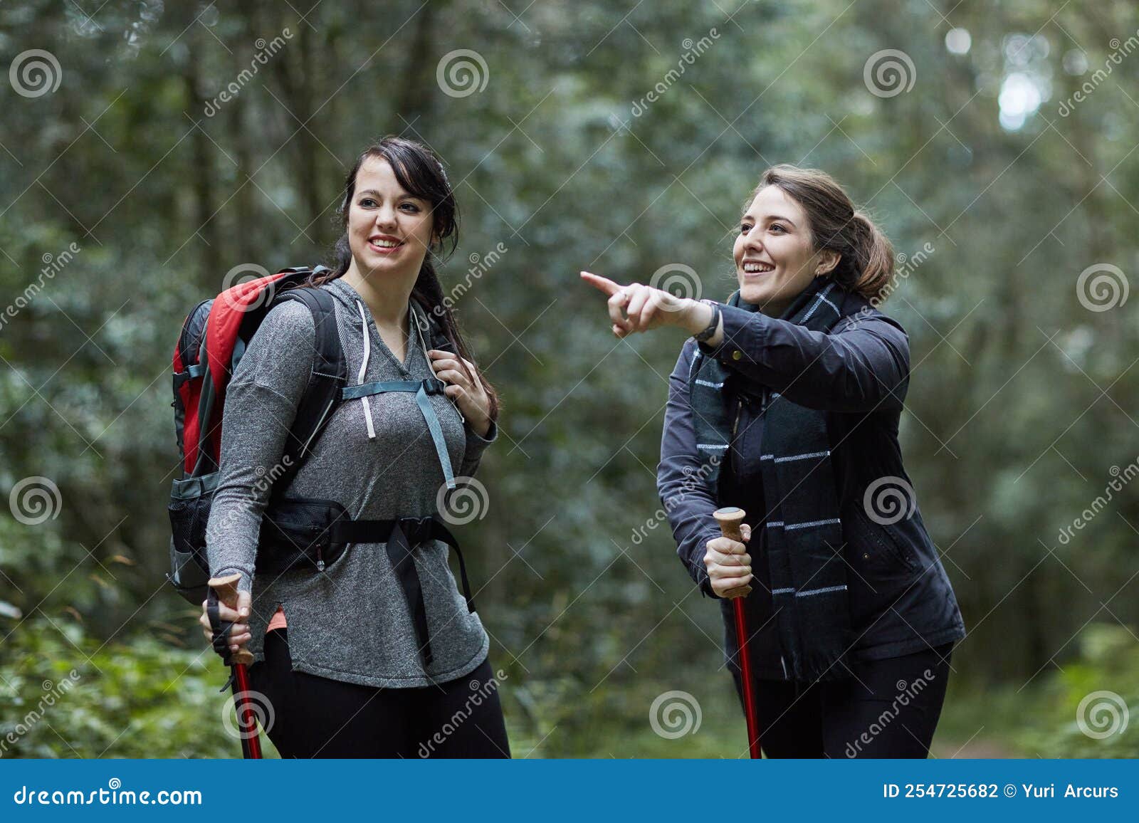 The Wonders of the Forest. Two Friends Exploring the Forest on a Hike ...