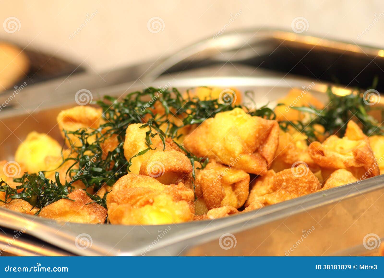 Wonton frito imagen de archivo. Imagen de cena, carne - 38181879