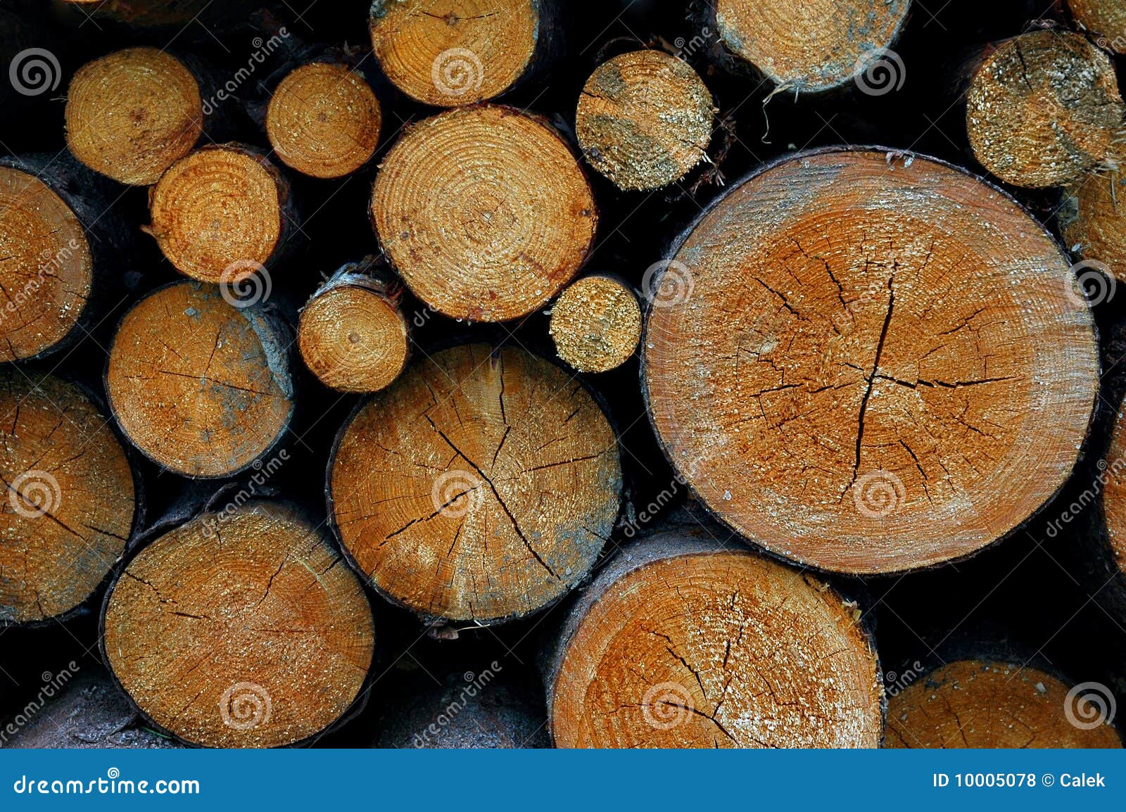 Wood stock photo. Image of trees, round, pattern, logs - 10005078