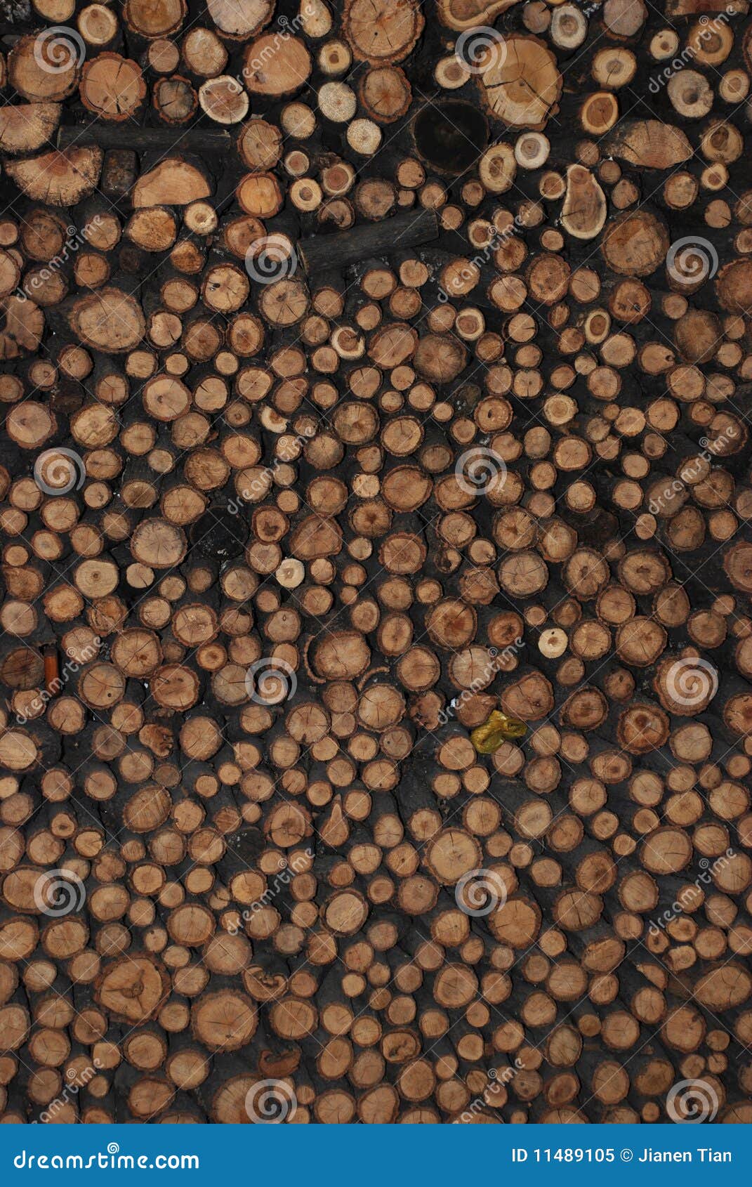 Tree Faller Stock Photos - Free & Royalty-Free Stock Photos from Dreamstime