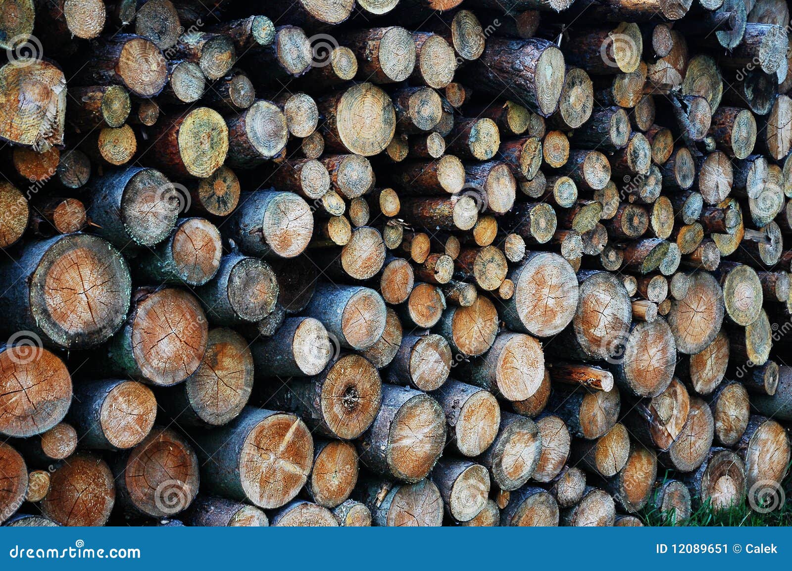 Wood stock image. Image of grain, abstract, environment - 12089651