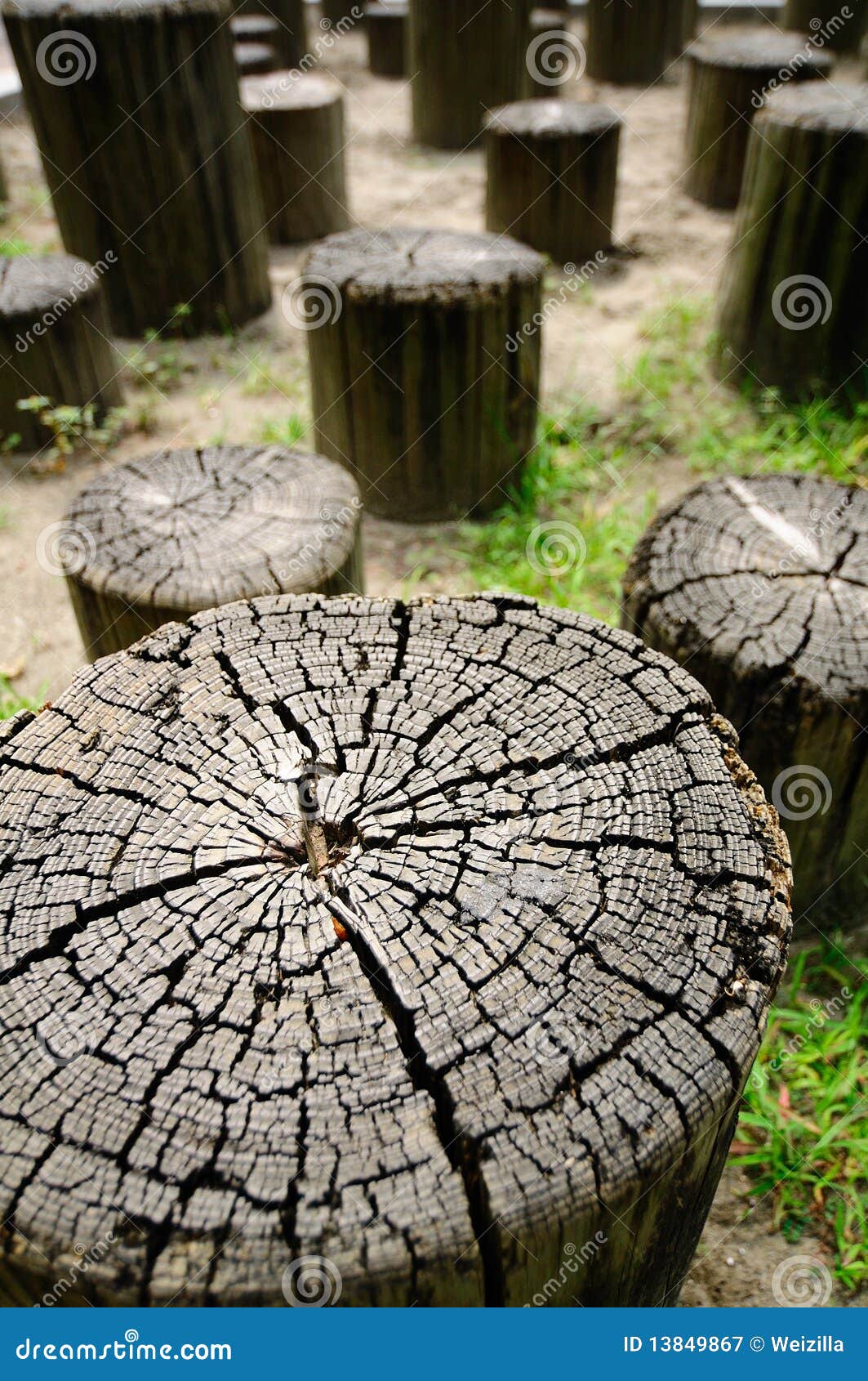 Wood stock image. Image of recreation, growth, wood, break - 13849867