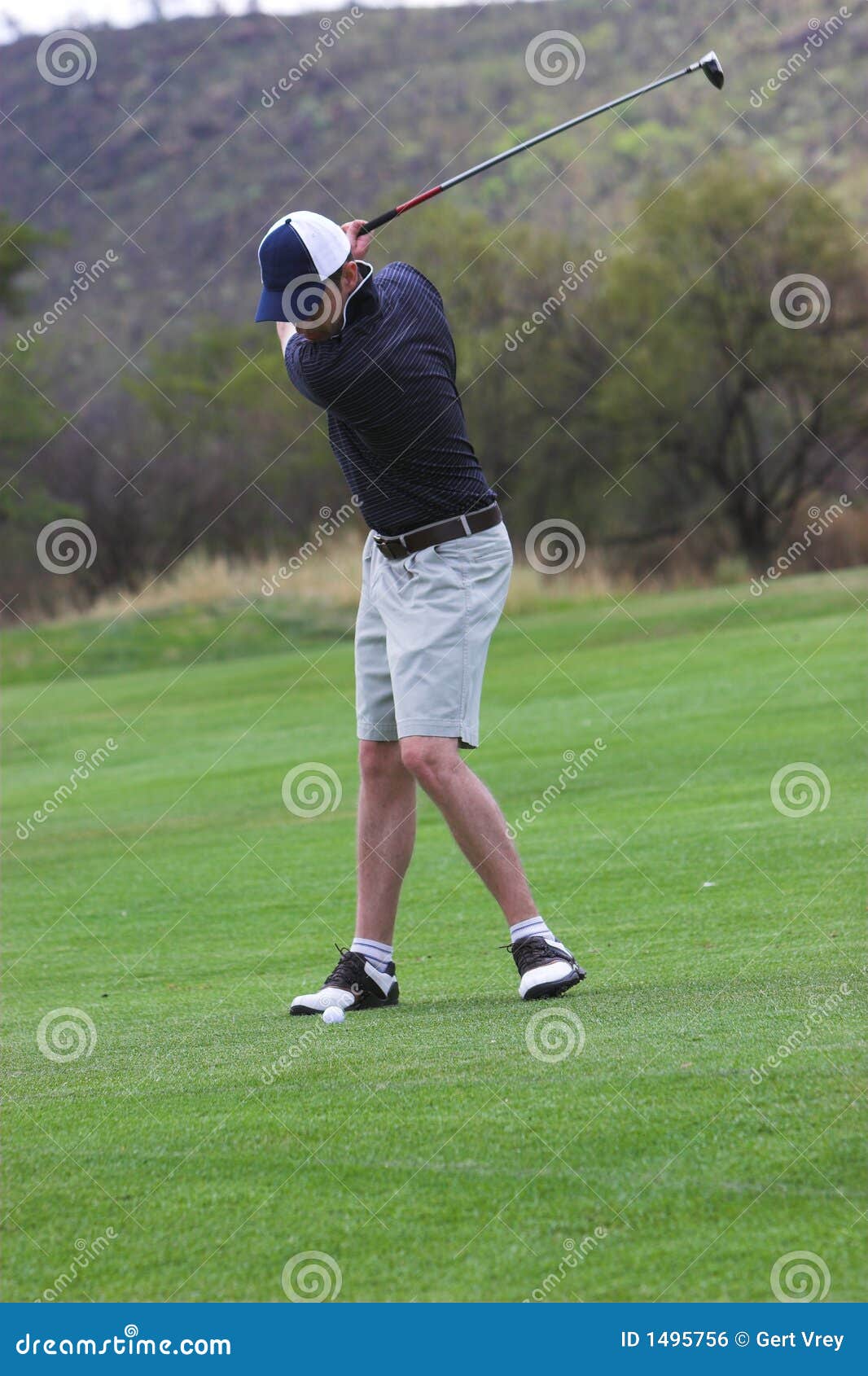 Wood stock photo. Image of competition, enjoy, birdie - 1495756