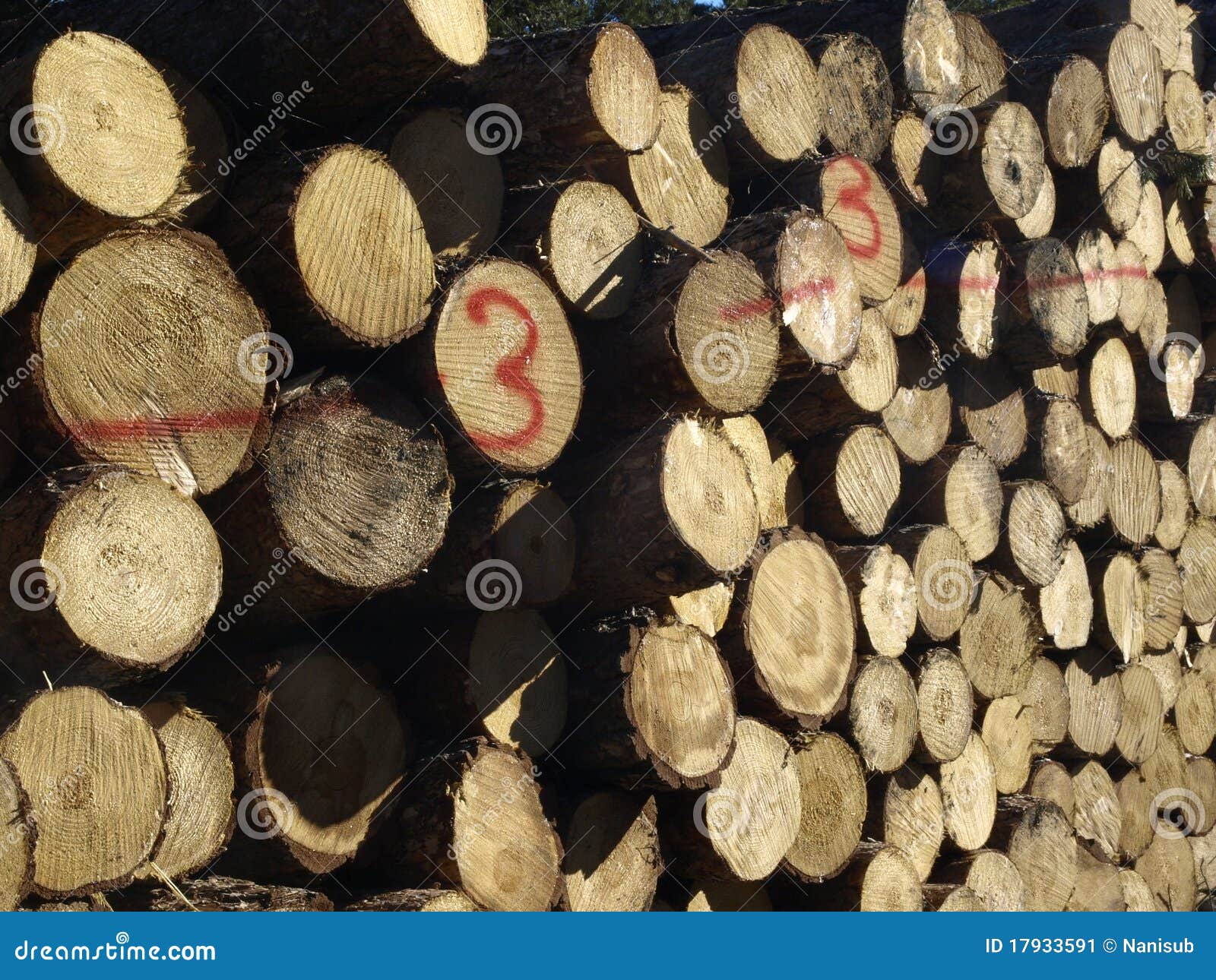 Wood stock image. Image of natural, hardwood, forestry - 17933591