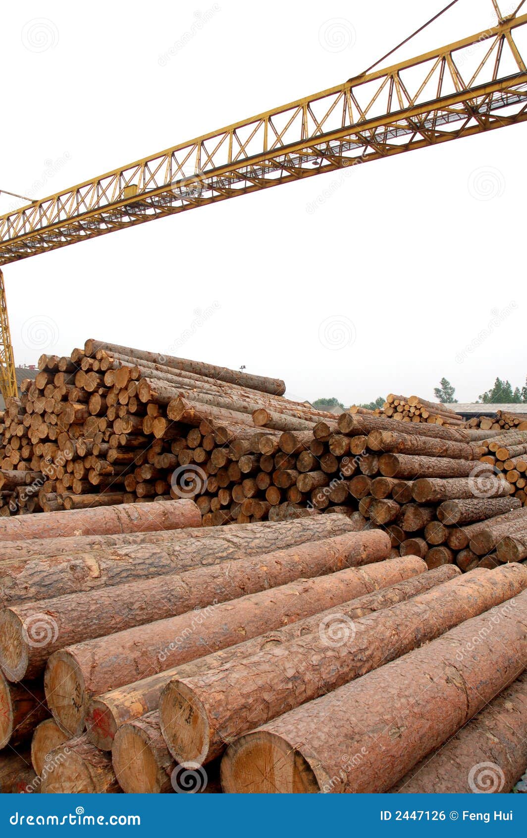 Wood stock photo. Image of asia, build, sichuan, chinese - 2447126