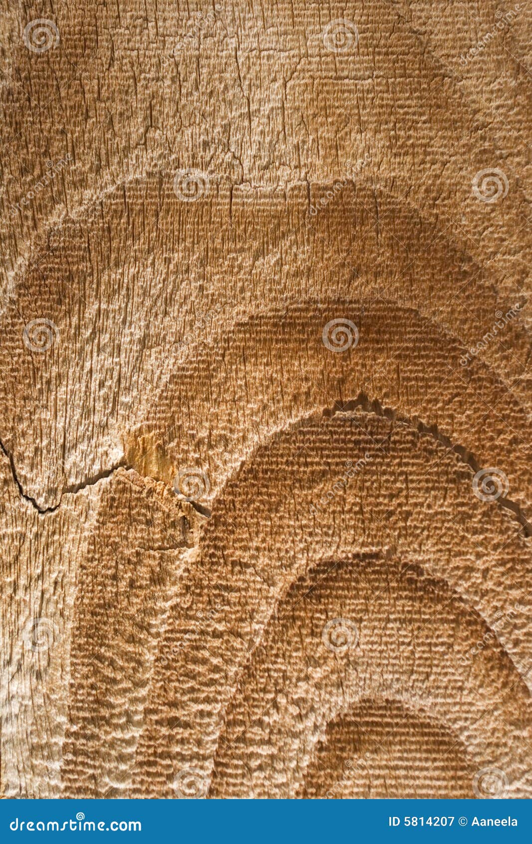 Wood Picture. Image: 5814207