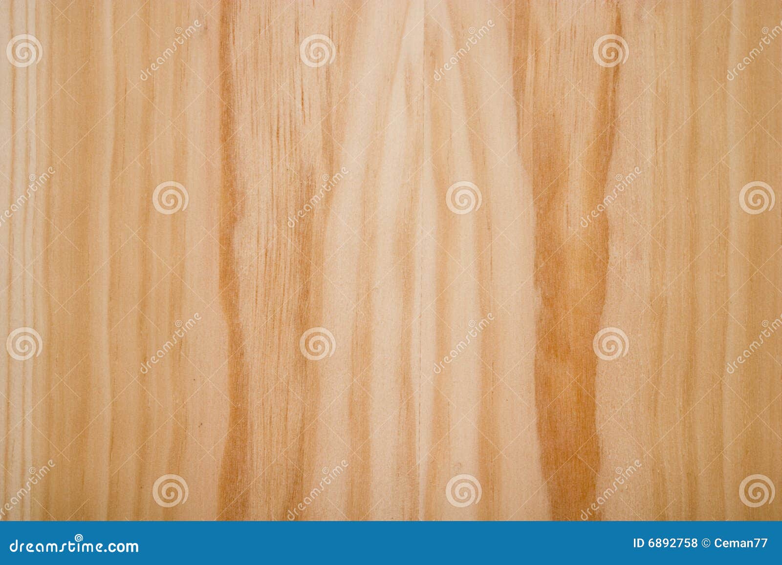 Wood stock photo. Image of nature, pine, wood, pattern - 6892758