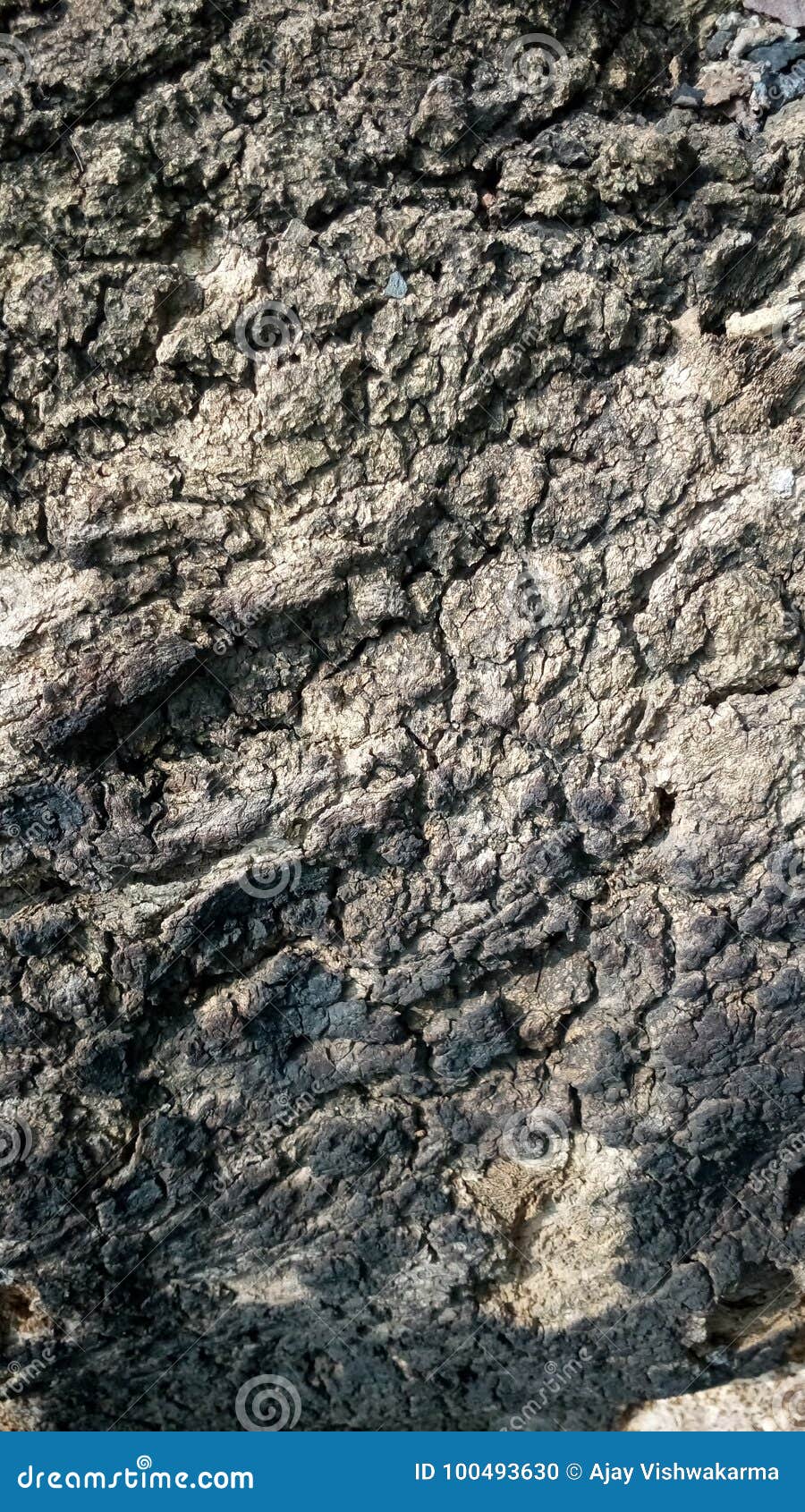 Complete Random View Photos - Free & Royalty-Free Stock Photos from ...