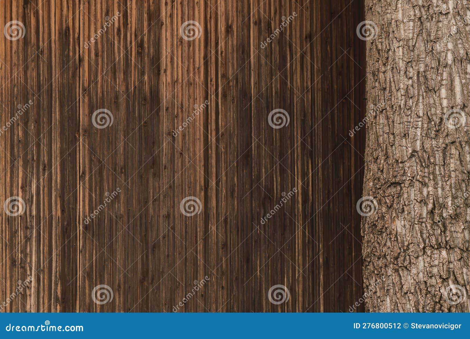 Wood As Texture, Tree Trunk Crust and Wooden Planks Stock Photo - Image ...