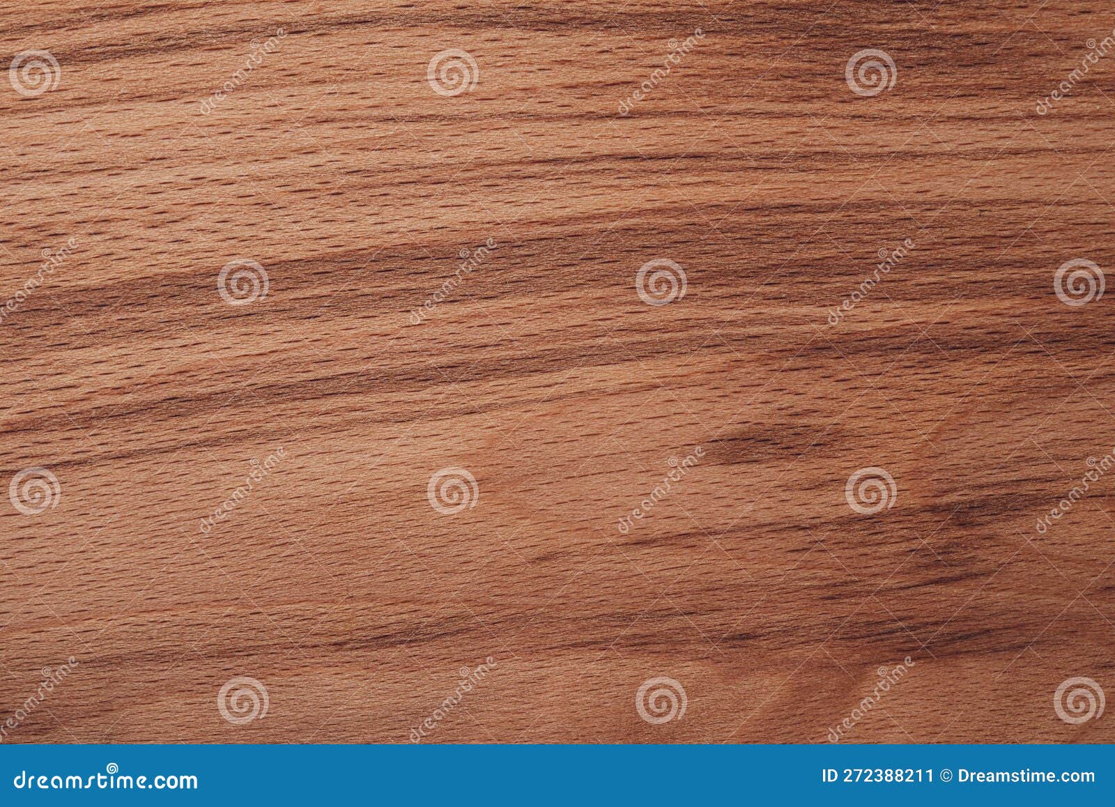 Wood Background Close-up of Beech Wood Texture Stock Image - Image of ...
