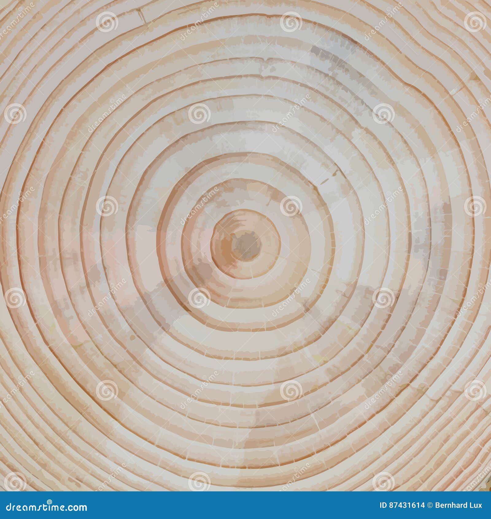 Wood Background: Pine Tree Cross-Section Stock Vector - Illustration of ...