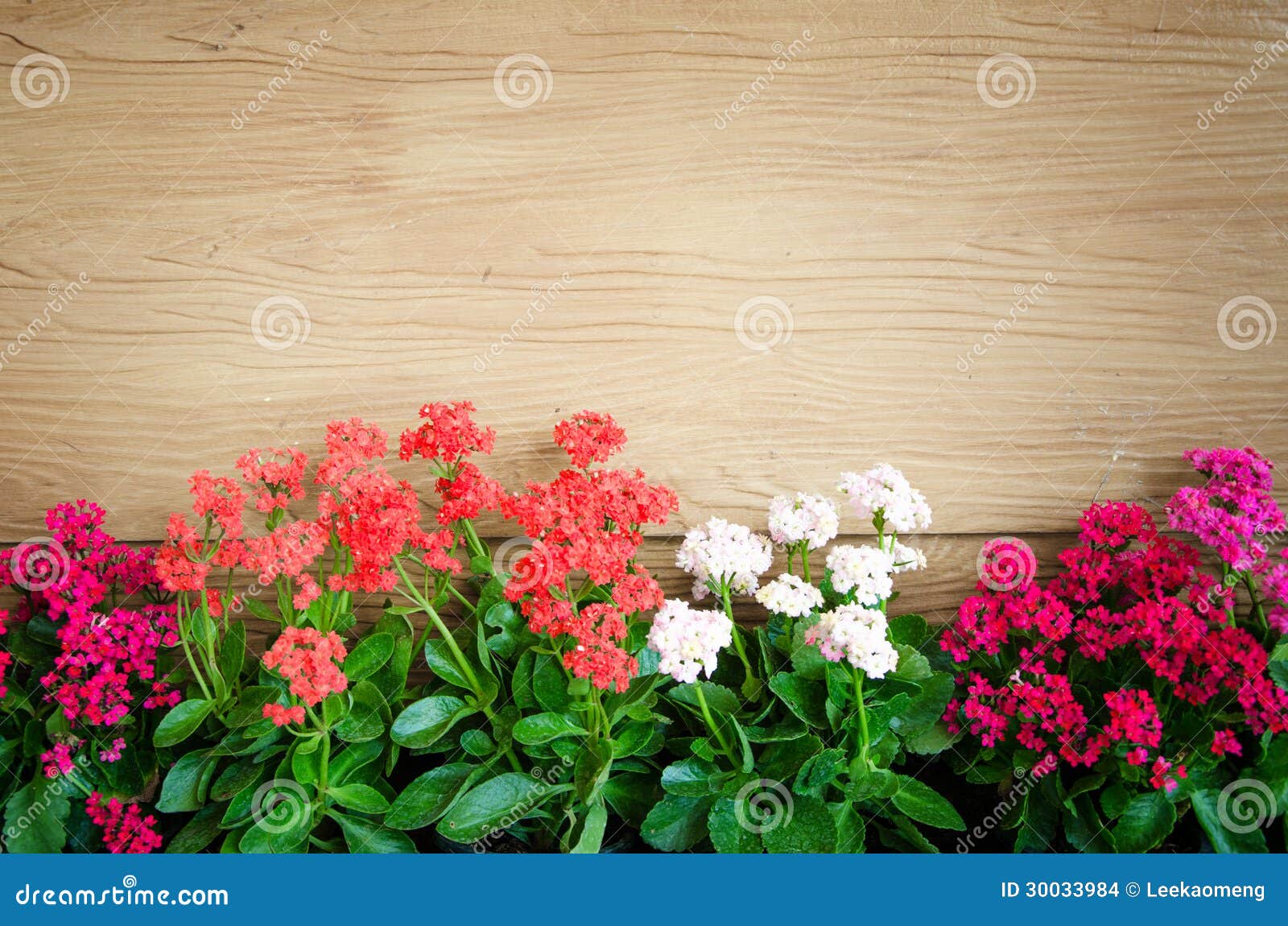 Wood Background with Flowers Stock Photo - Image of health, nature ...