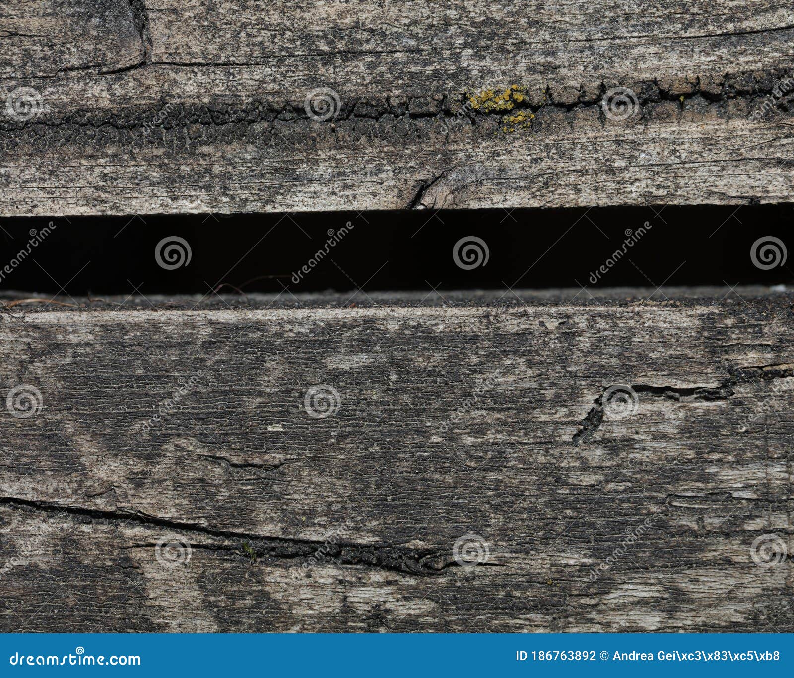Wood background template stock photo. Image of antique - 186763892
