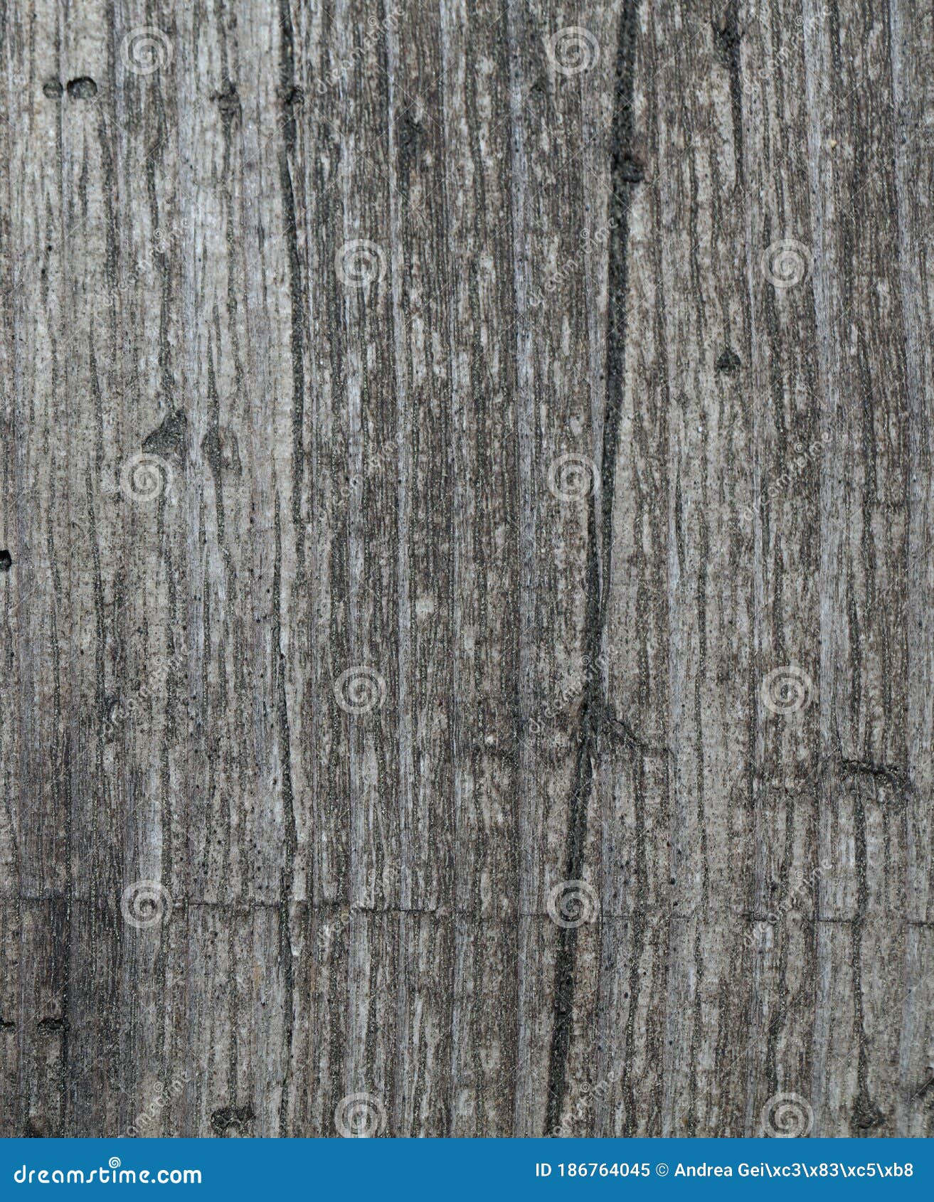 Wood background template stock image. Image of lumber - 186764045