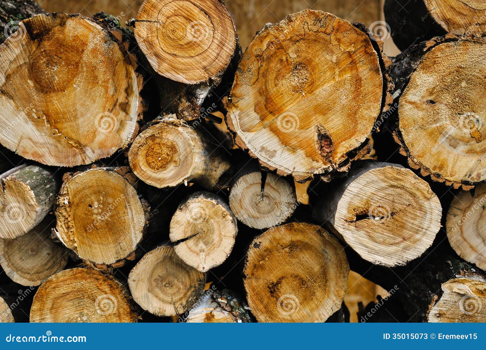 461 Maple Logs Stock Photos - Free & Royalty-Free Stock Photos from ...