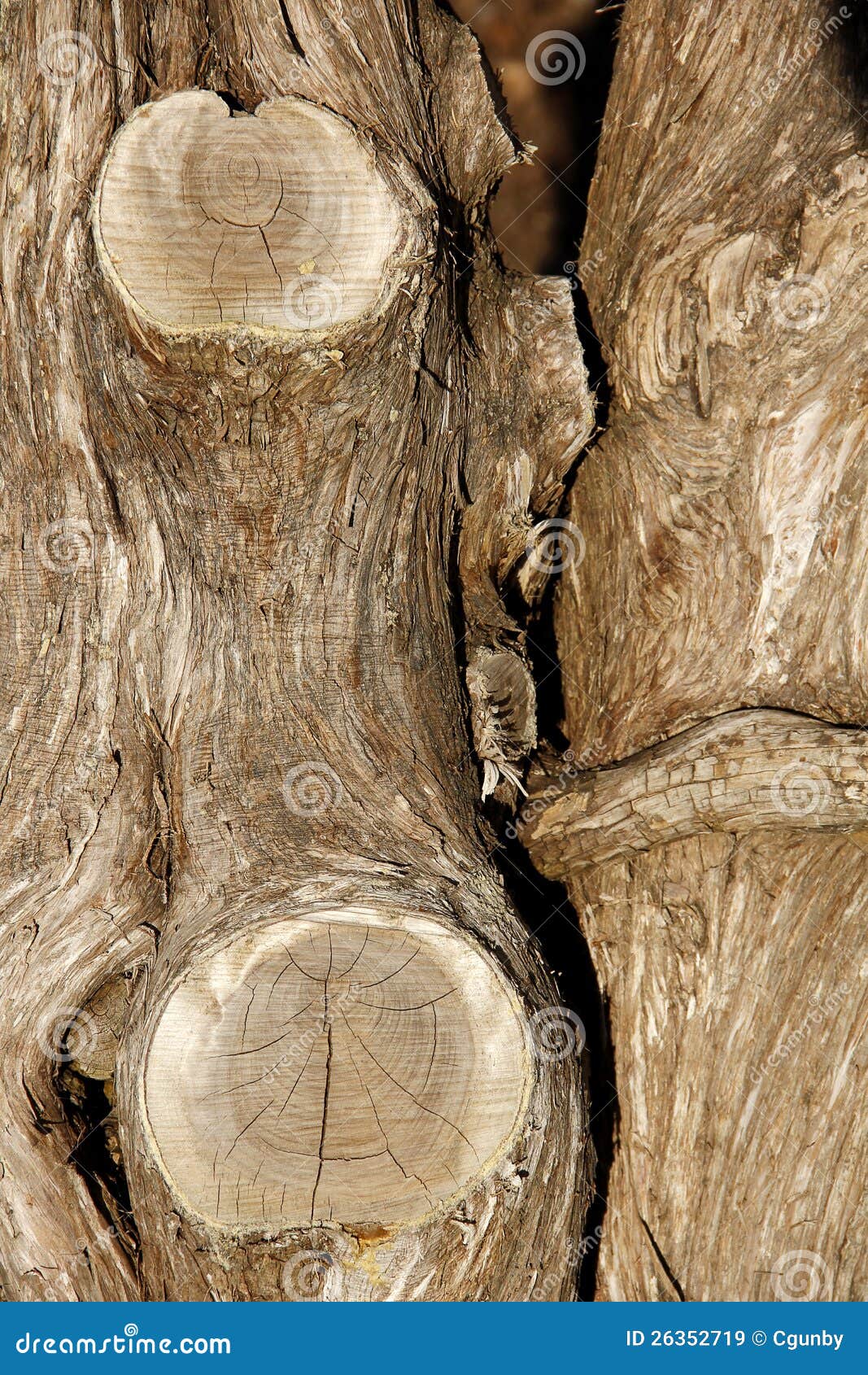 Wood Bark stock image. Image of hardwood, rough, brown - 26352719