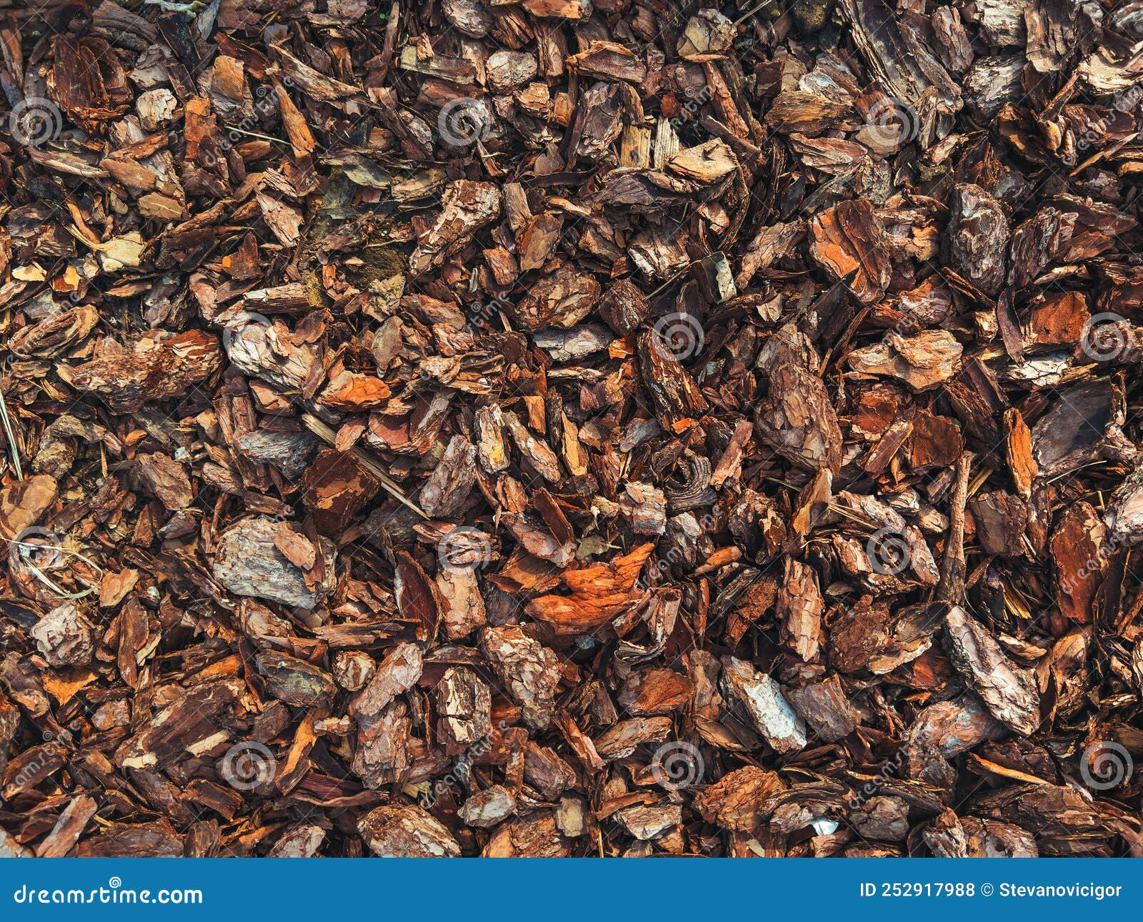 Wood Bark Chippings Texture Top View Stock Photo - Image of people ...