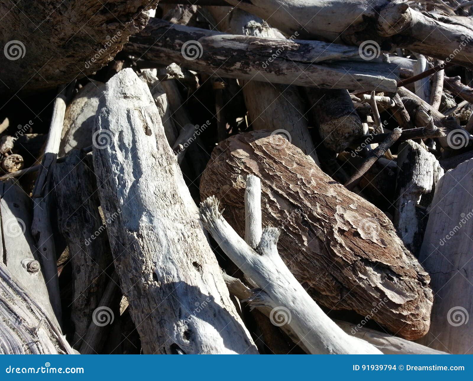 Wood at the Beach stock photo. Image of nature, waves - 91939794