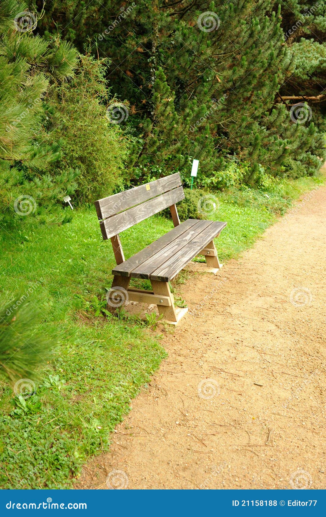 Isolated bench stock photo. Image of outside, restful - 21158188