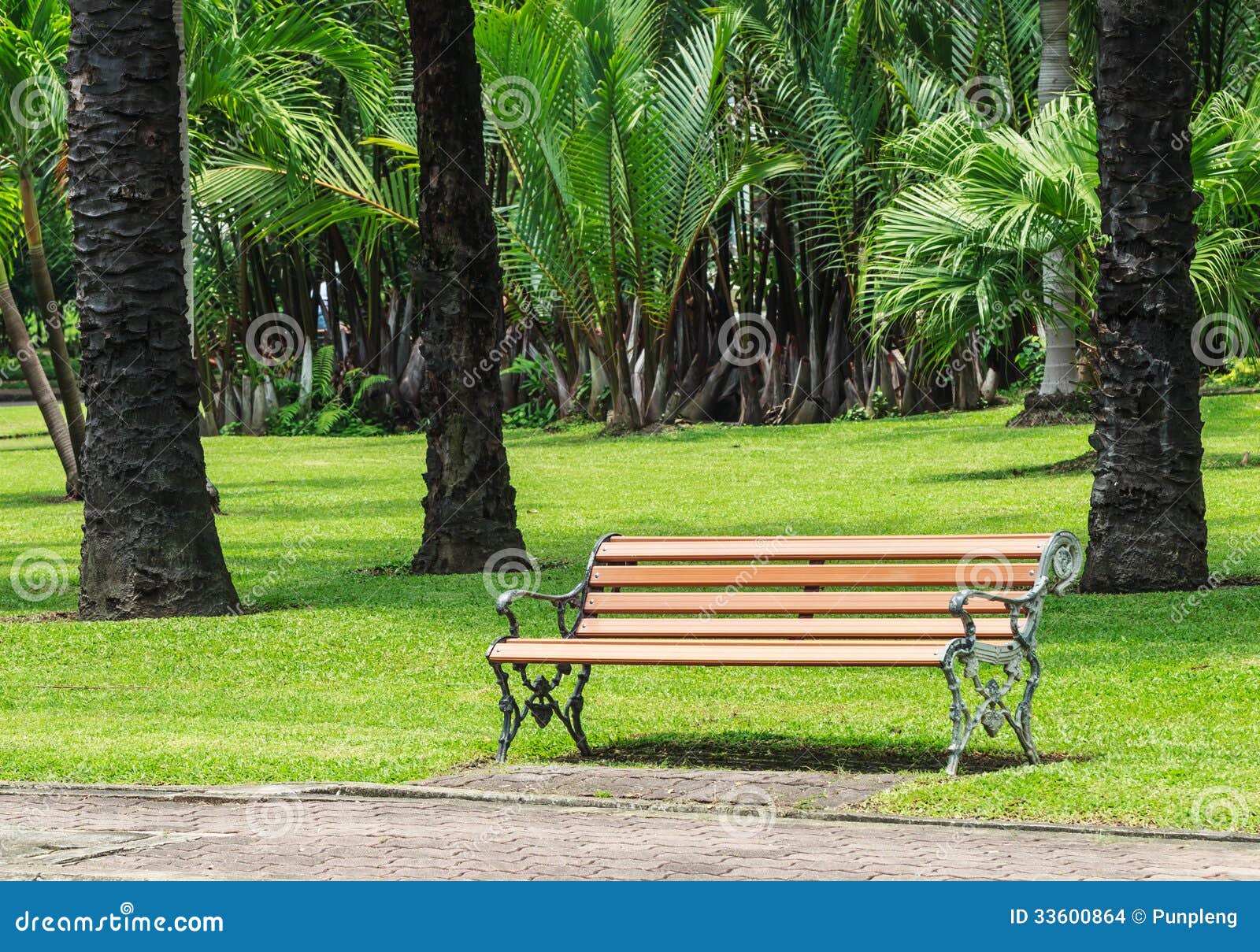 Wood Bench with Alloy Structure in Palm Garden Stock Photo - Image of ...