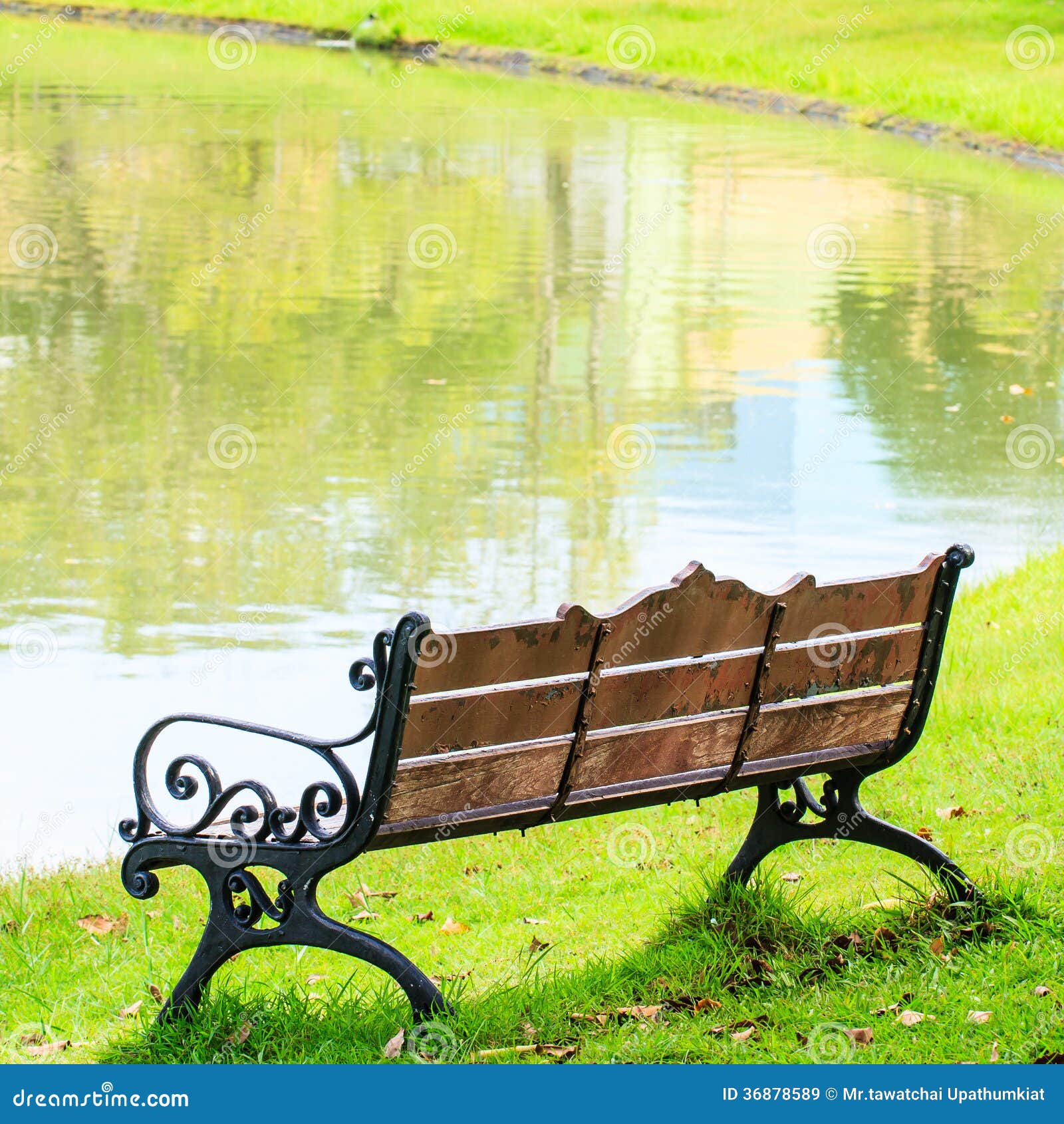 Wood Bench with Cast Iron Frame in Park Stock Image - Image of bench ...