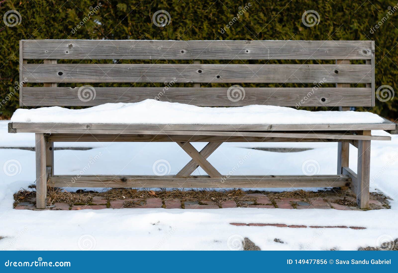 Wood bench empty . stock photo. Image of nature, peaceful - 149477856