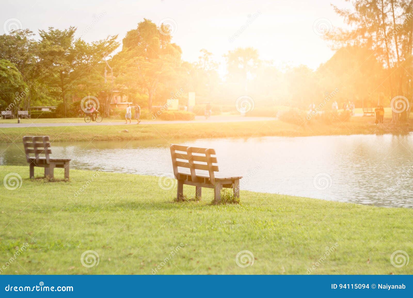 Wood Bench in the Natural Green Park Stock Photo - Image of nature ...