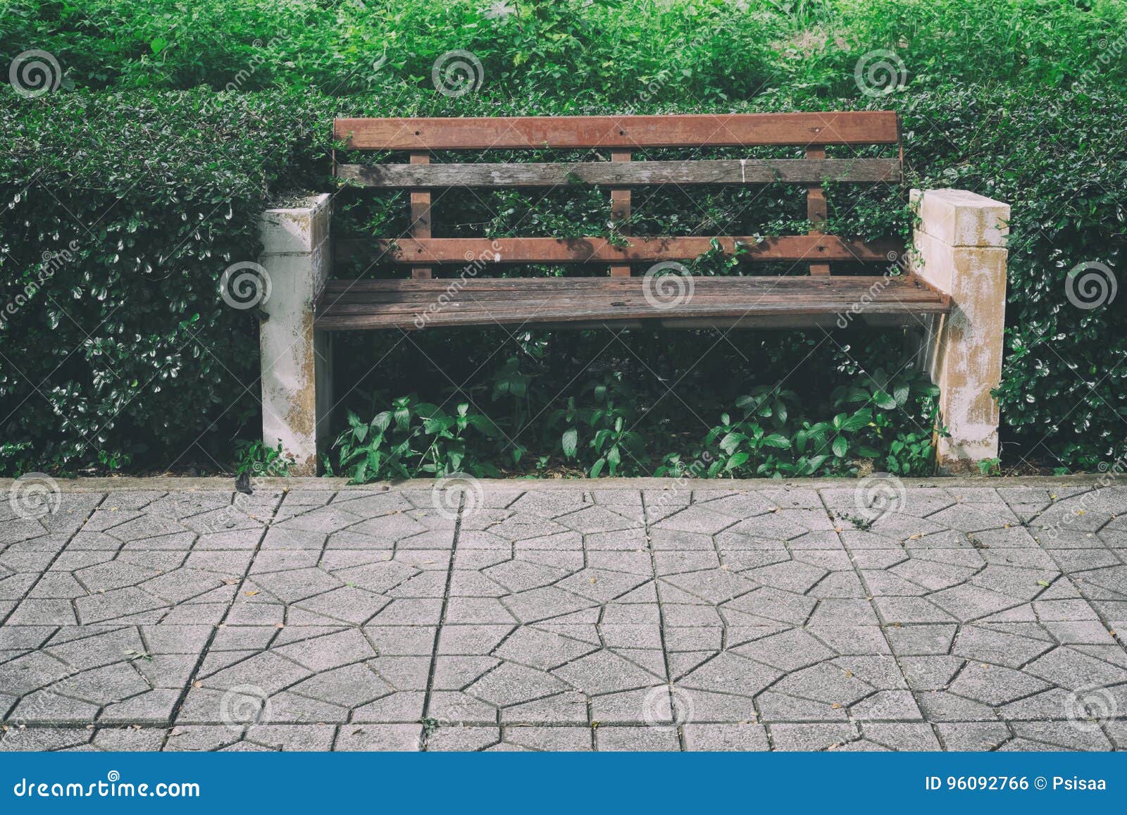 Wood Bench beside Pathway in Public Park Stock Photo - Image of public ...
