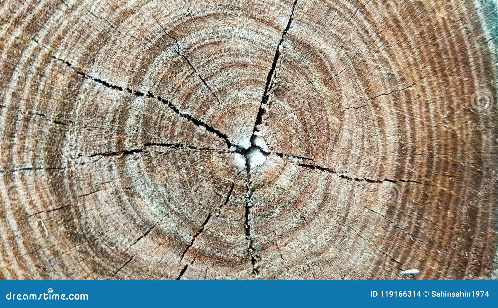 Wood Block Texture Stock Photos - Download 22,741 Royalty Free Photos