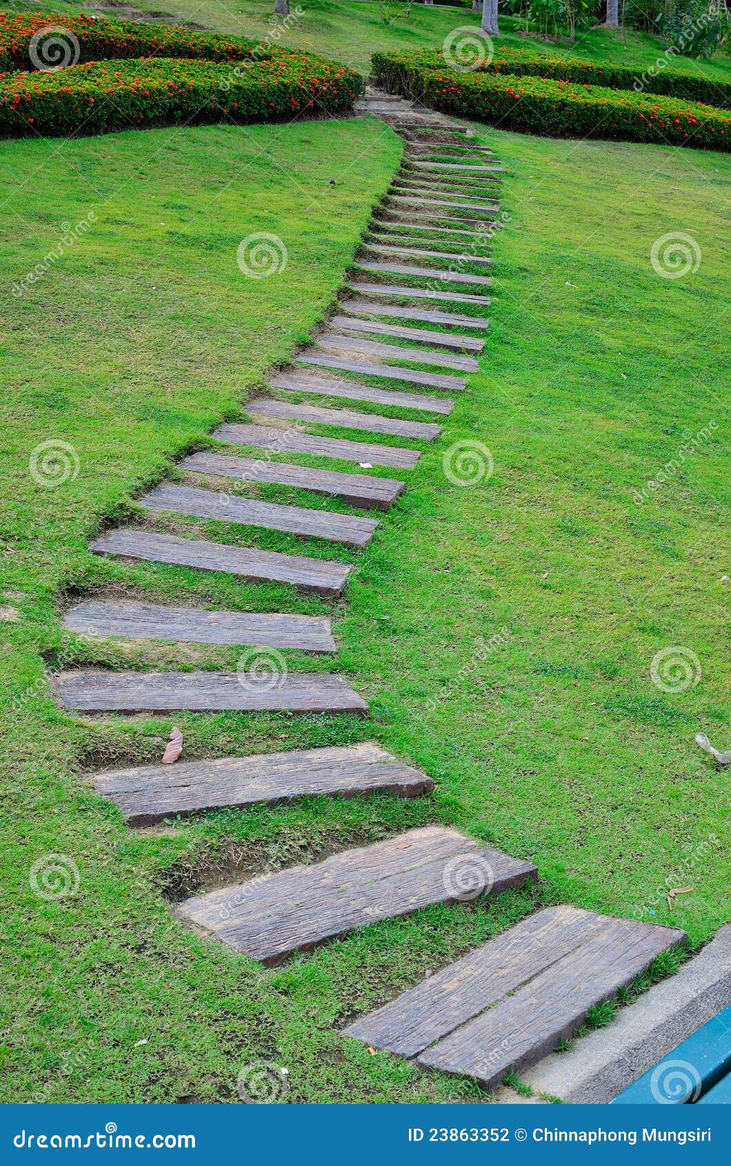 Wood Block Walk Path Park Stock Images - Download 152 Royalty Free Photos