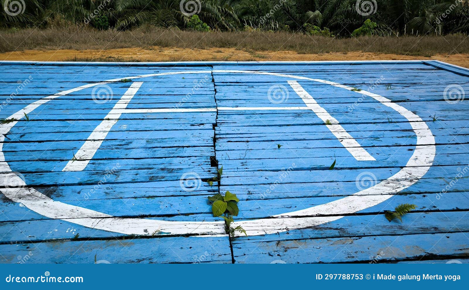 Wood Blue Helipad of Palm Plantation Stock Image - Image of plantation ...