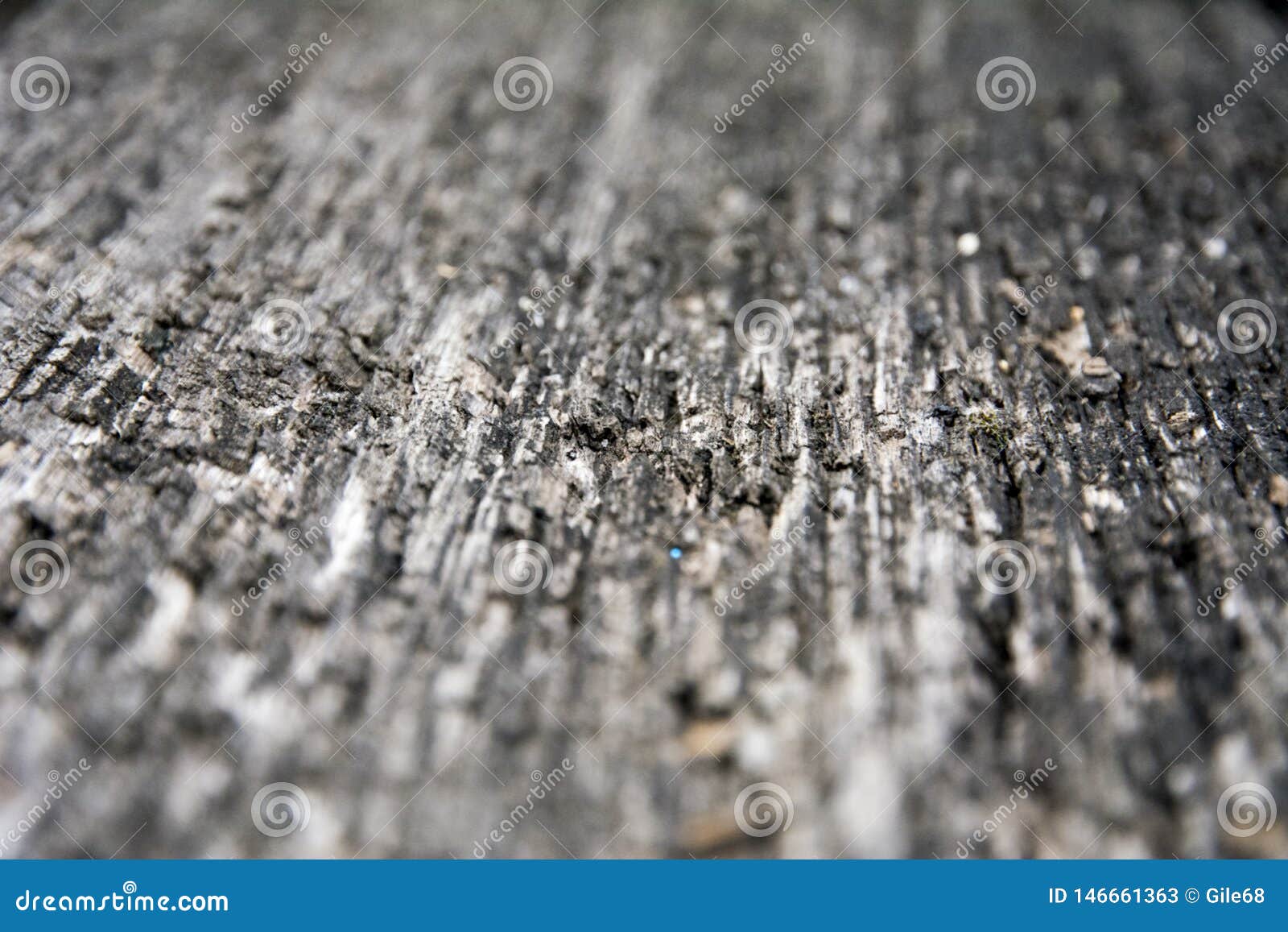Wood, Blurred Texture Background Stock Image - Image of grain, panel ...