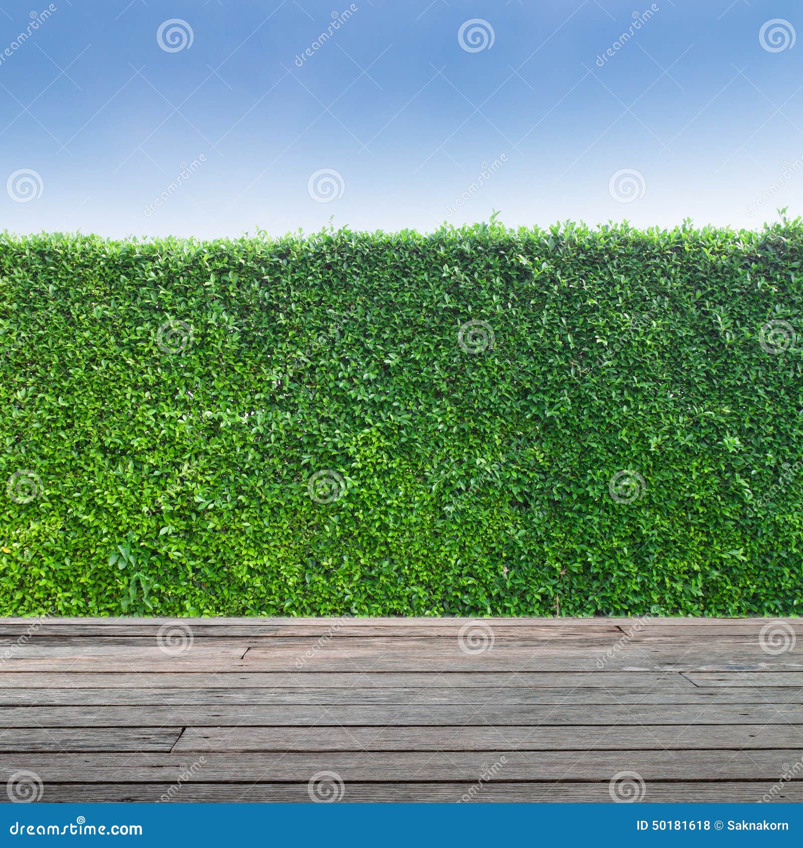 Wood Board in Grass Field and Sky Stock Photo - Image of park, natural ...