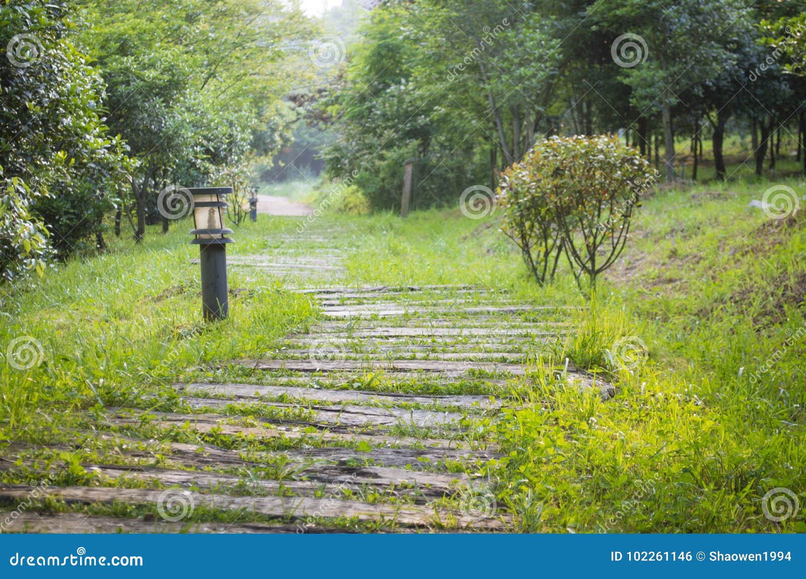 Wood board path stock photo. Image of country, countryside - 102261146