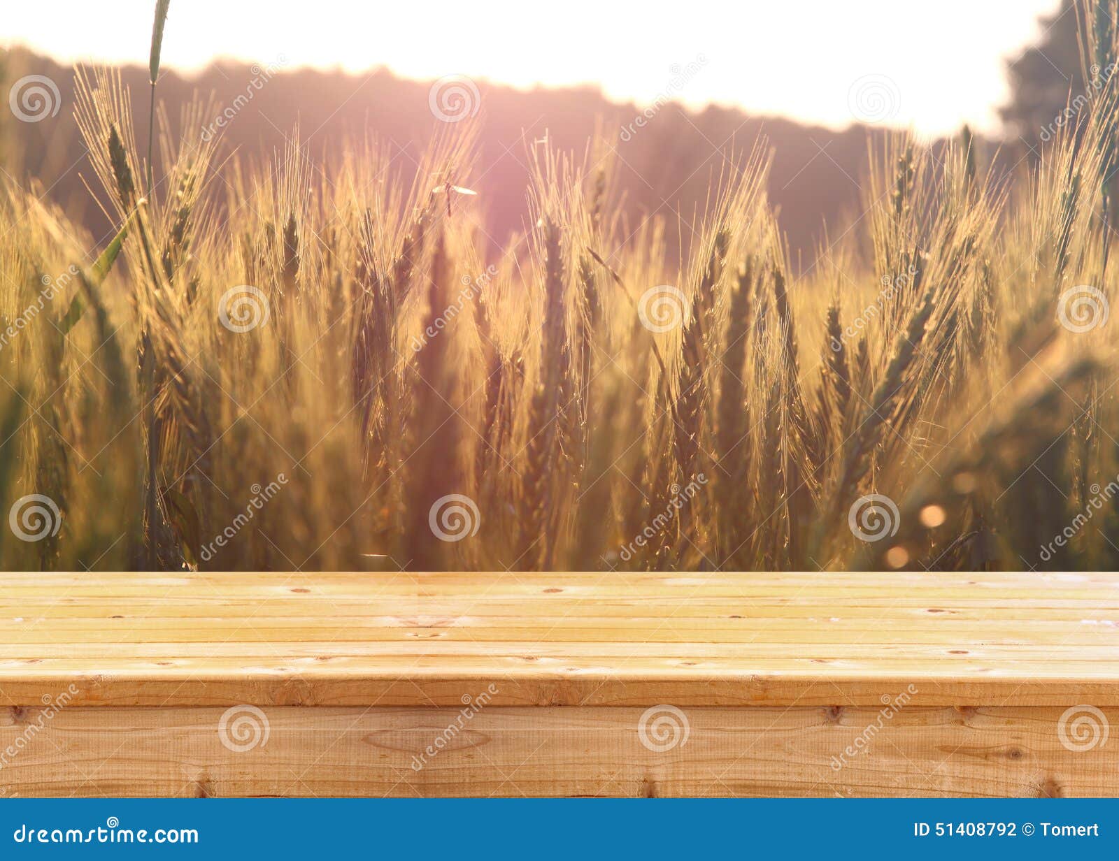 Wood Board Table in Front of Field of Wheat on Sunset Light. Ready for ...