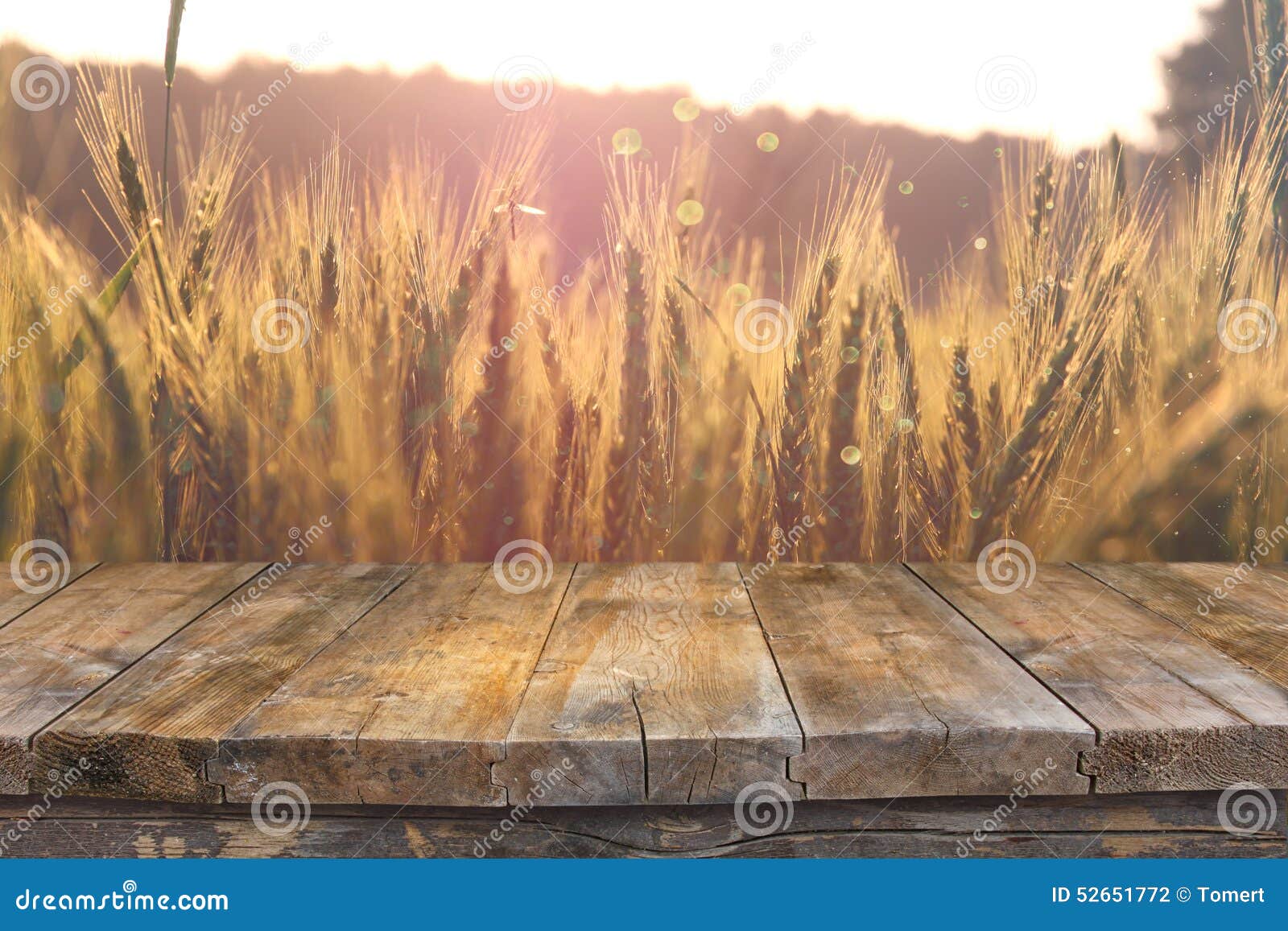 Wood Board Table in Front of Field of Wheat on Sunset Light. Ready for ...