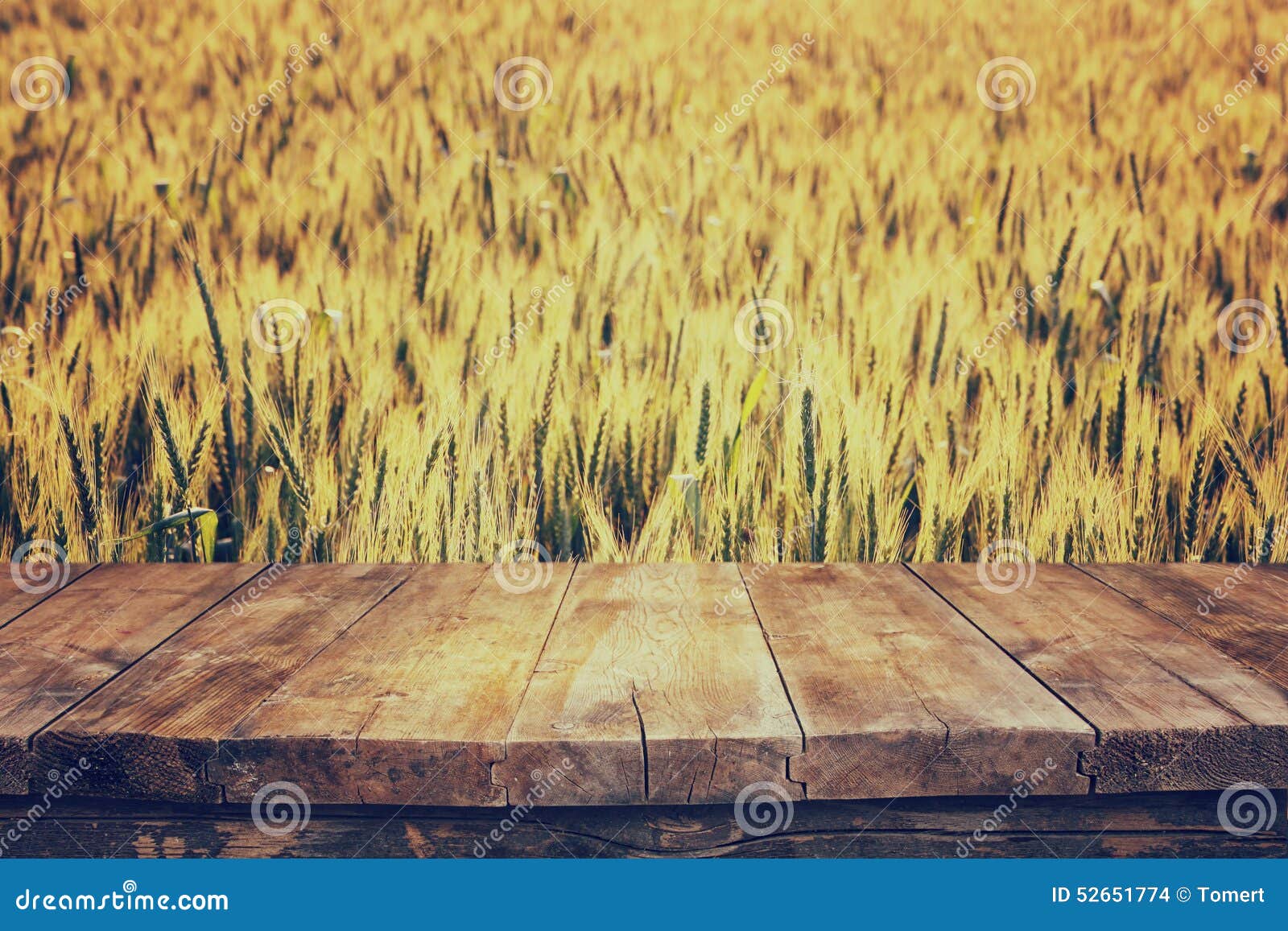 Wood Board Table in Front of Field of Wheat on Sunset Light. Ready for ...