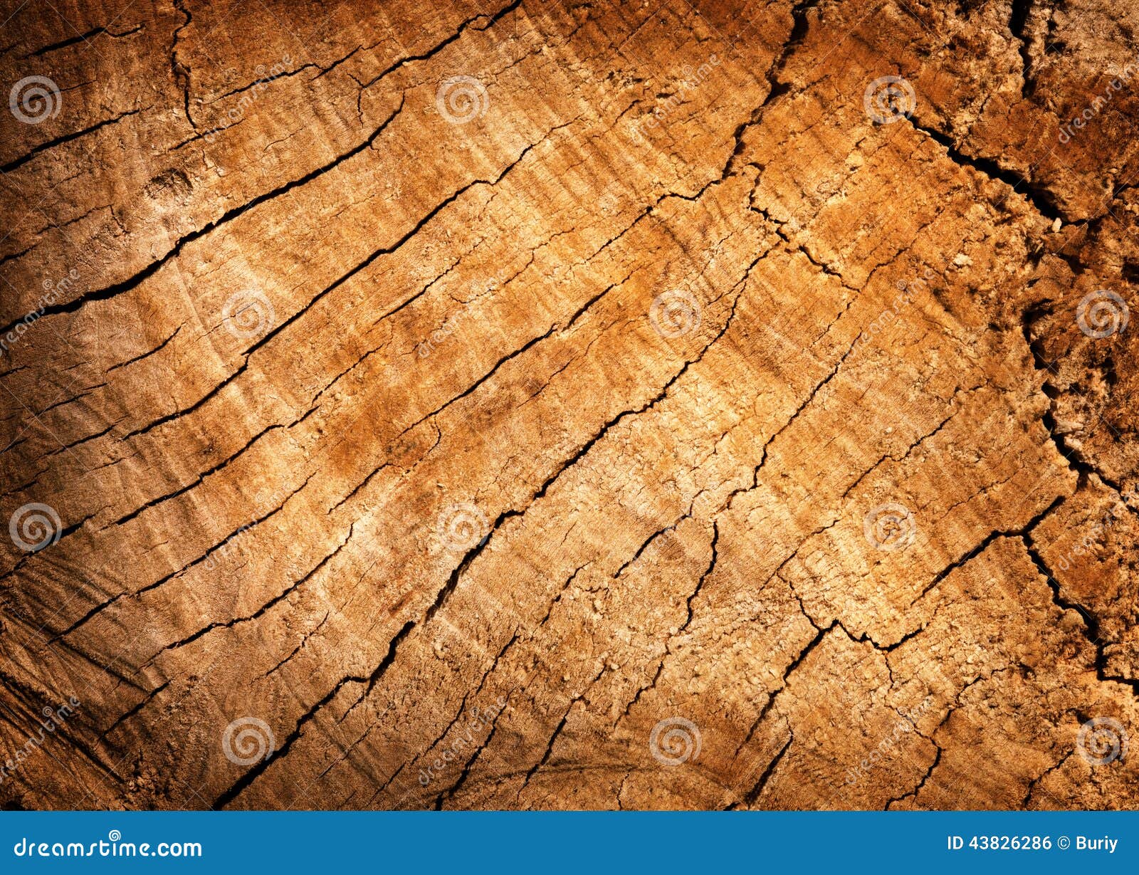 Wood board stock photo. Image of line, crack, break, frame - 43826286