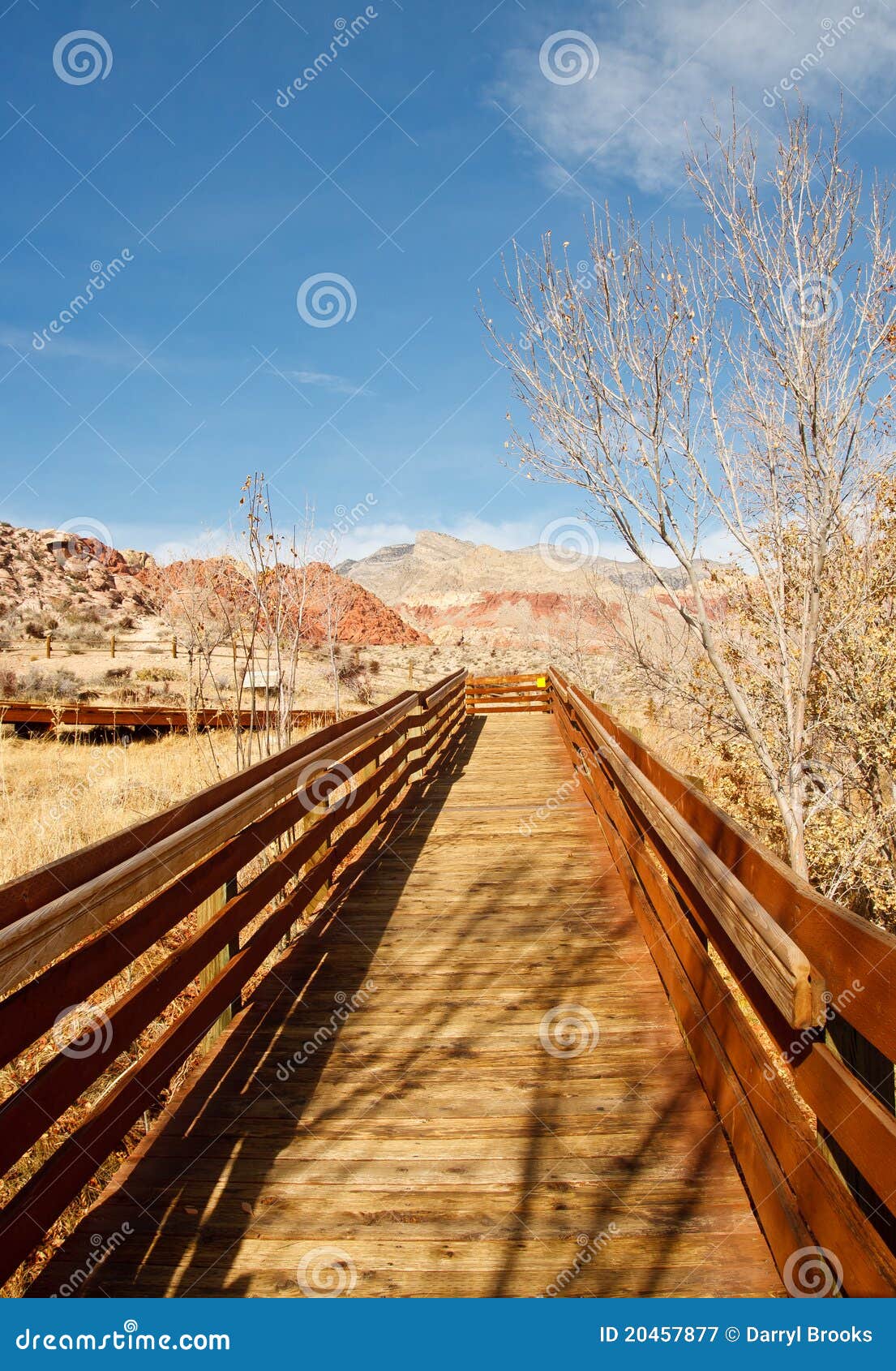 Wood Board Walkway Across Desert Stock Image - Image of southwest ...